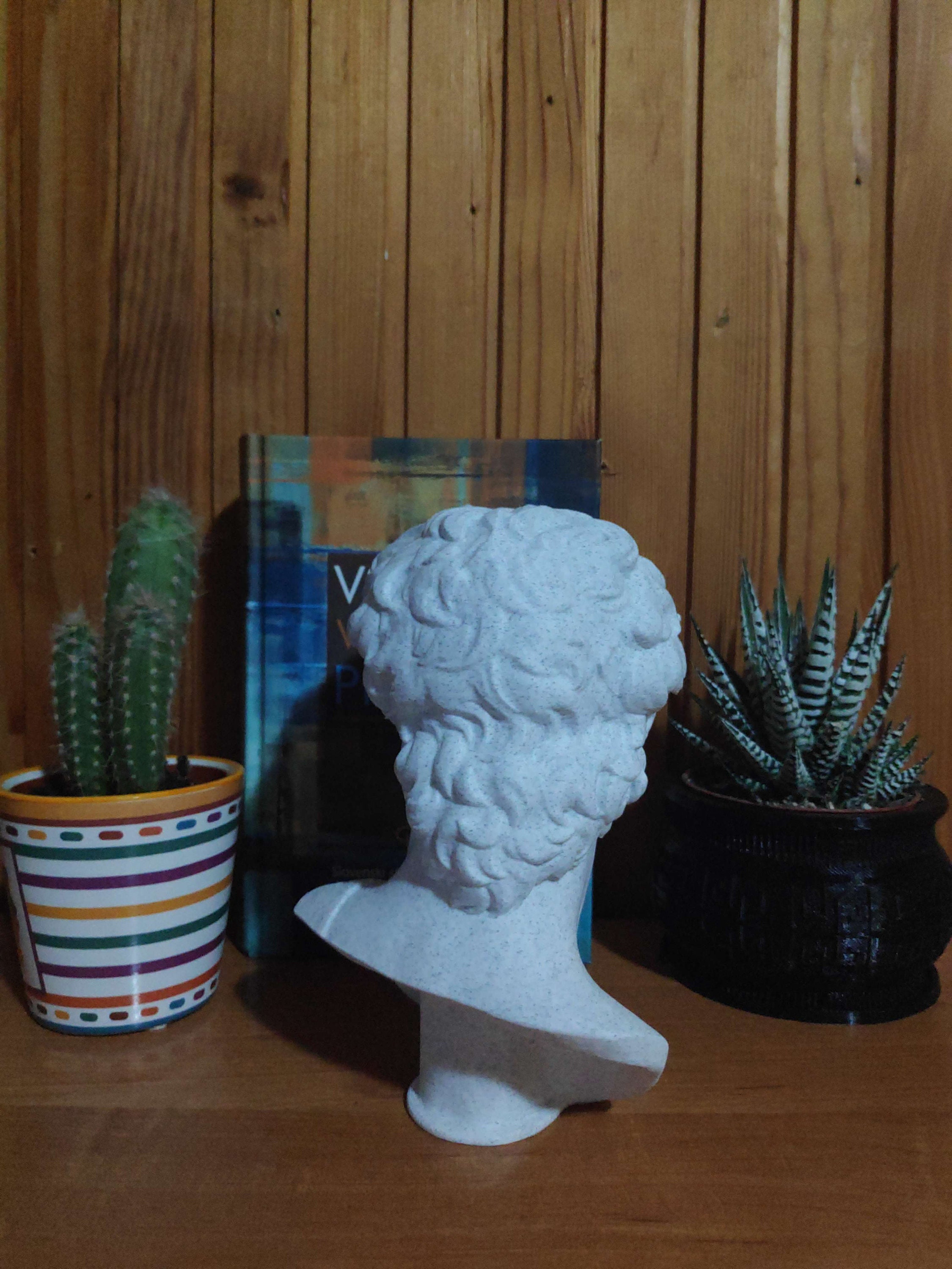 Bust of Michelangelo's David, Decorative Classic Statue, Masterpiece ...