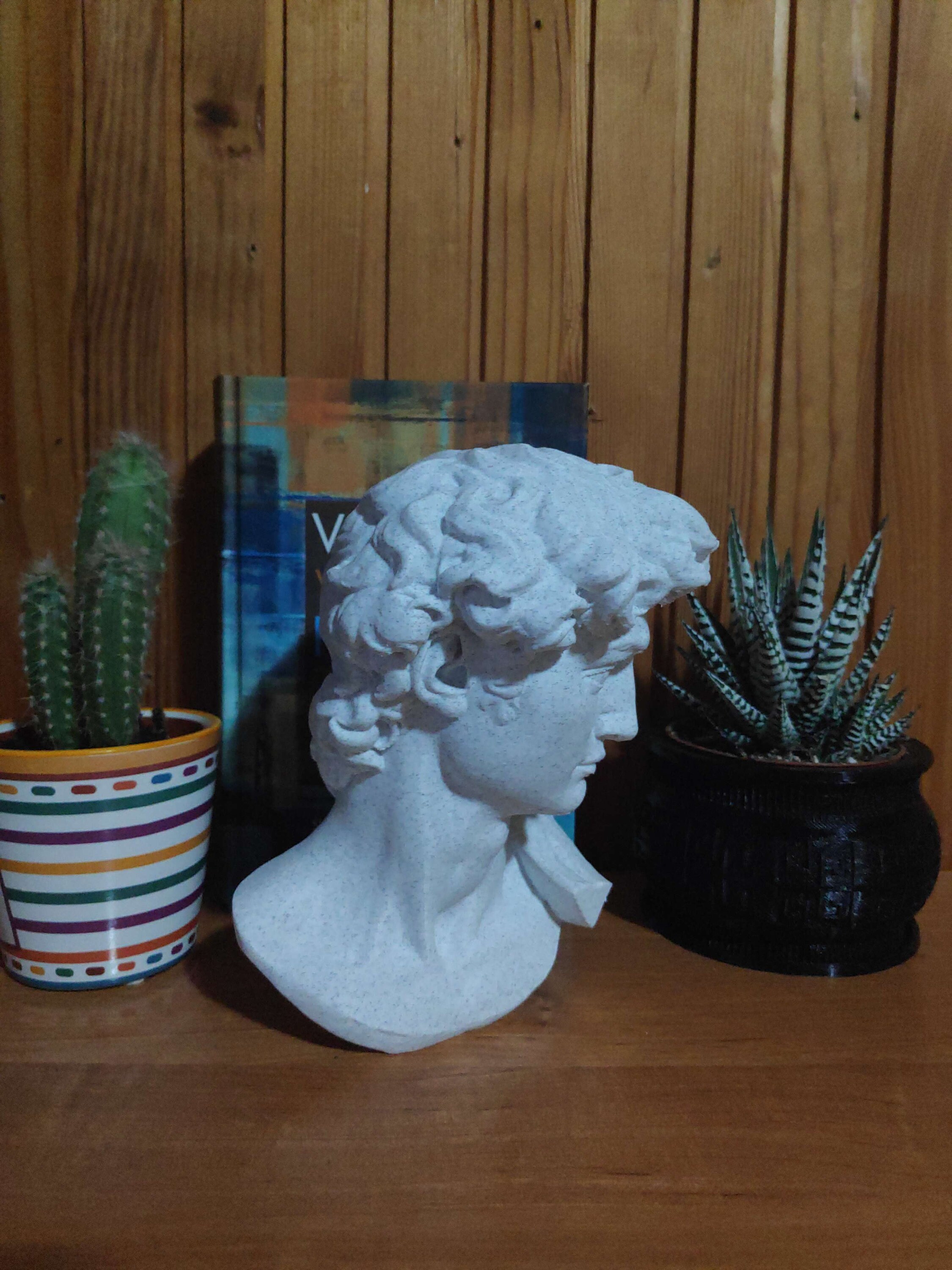 Bust of Michelangelo's David, Decorative Classic Statue, Masterpiece ...