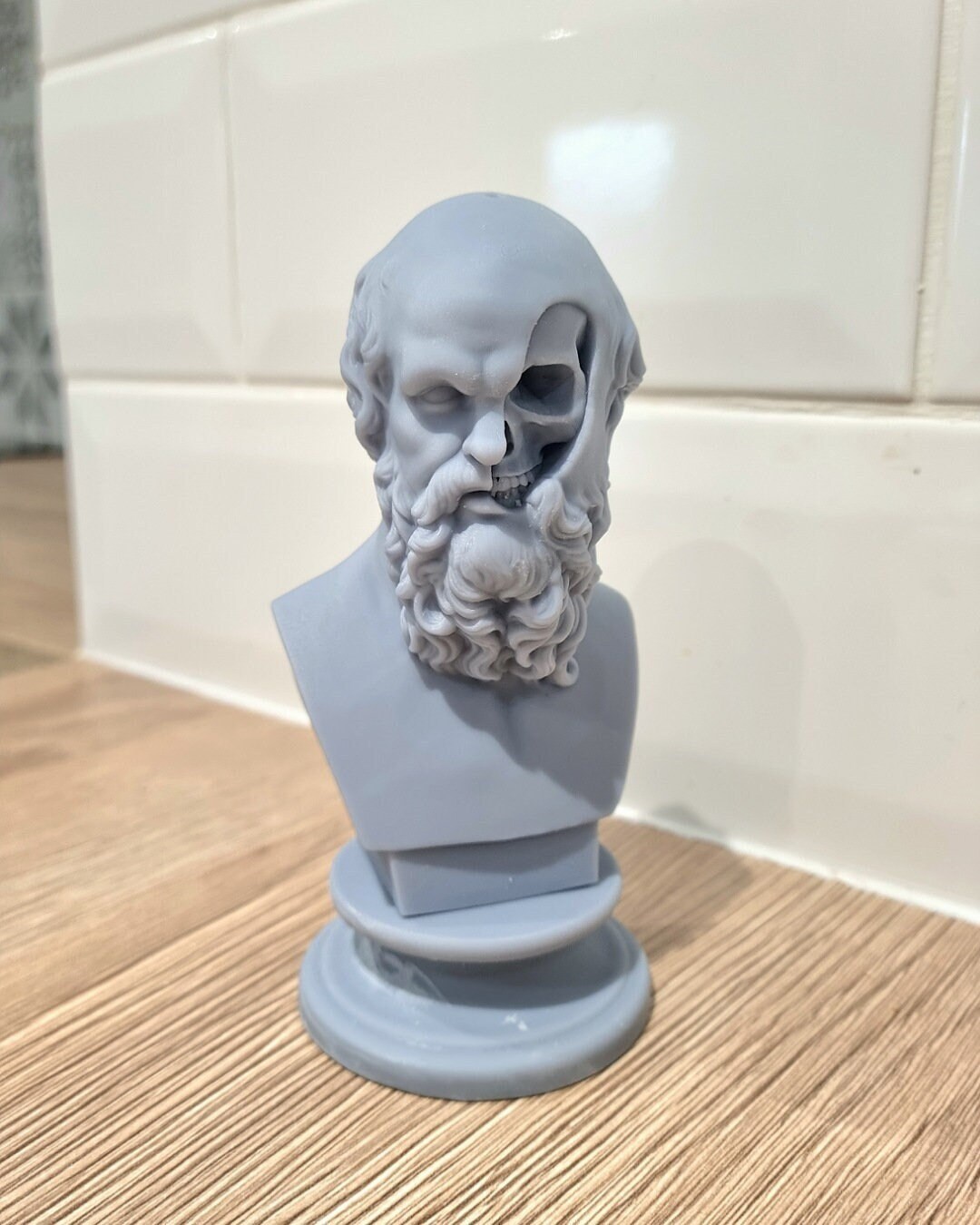 Bust of Socrates Skull, Memento Mori, Skull Bust, Flawless 3D Print ...