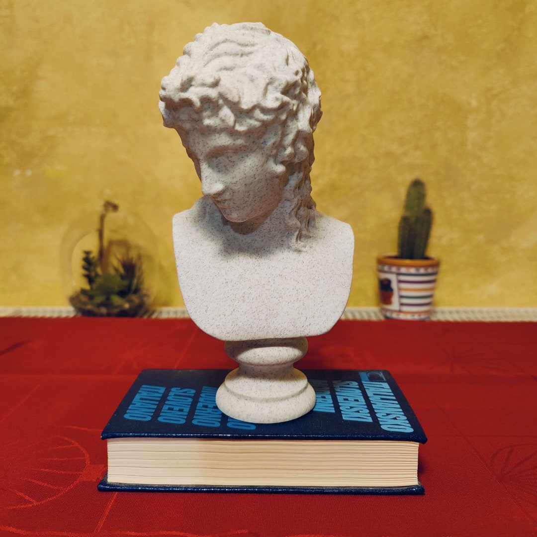 Bust of Adonis Sculpture, Decorative Roman Statue, Antique Sculpture ...