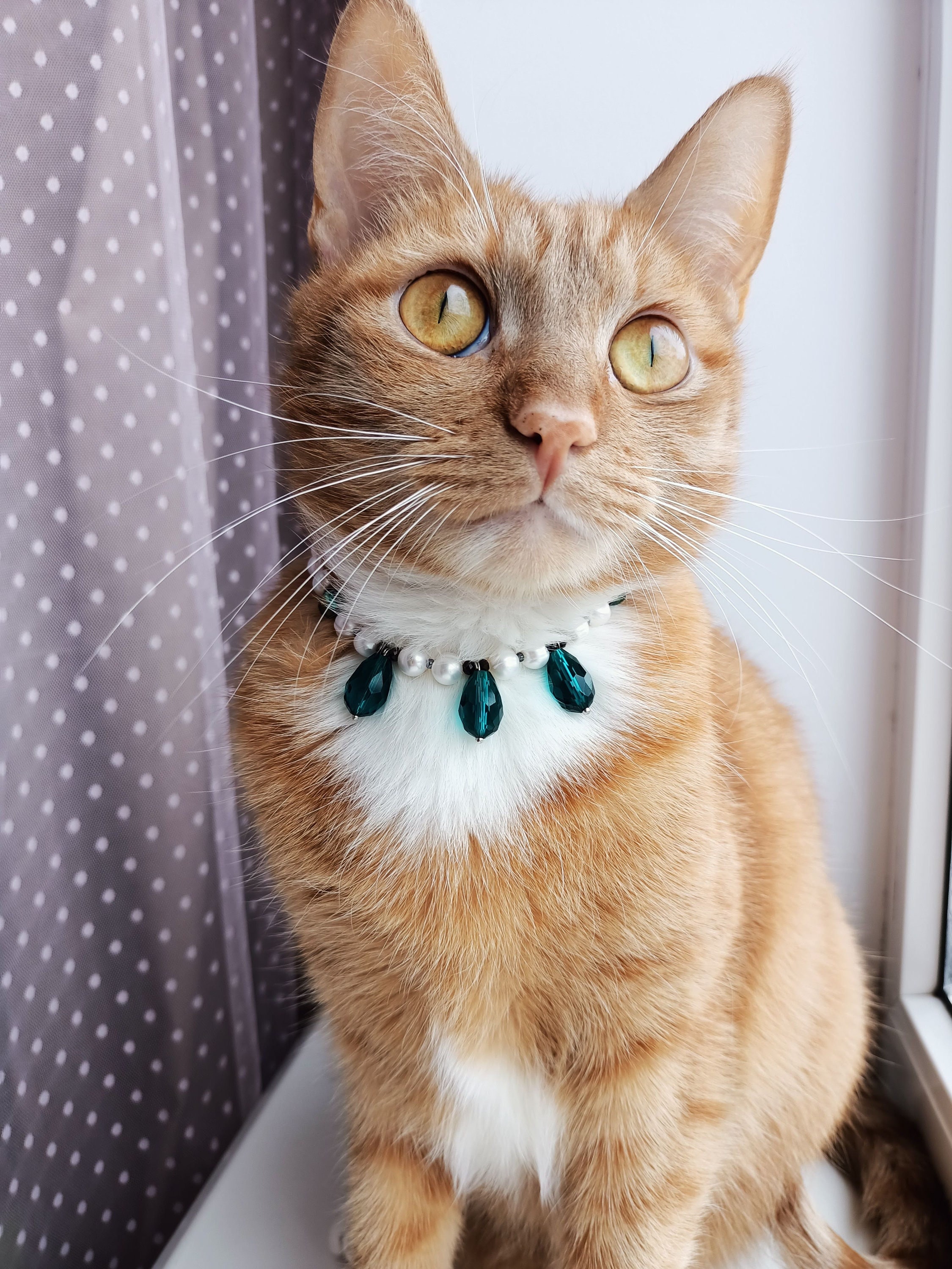 Crystal Cat Collarreal Pearl Cat Pet Necklacegreen Kitten - Etsy
