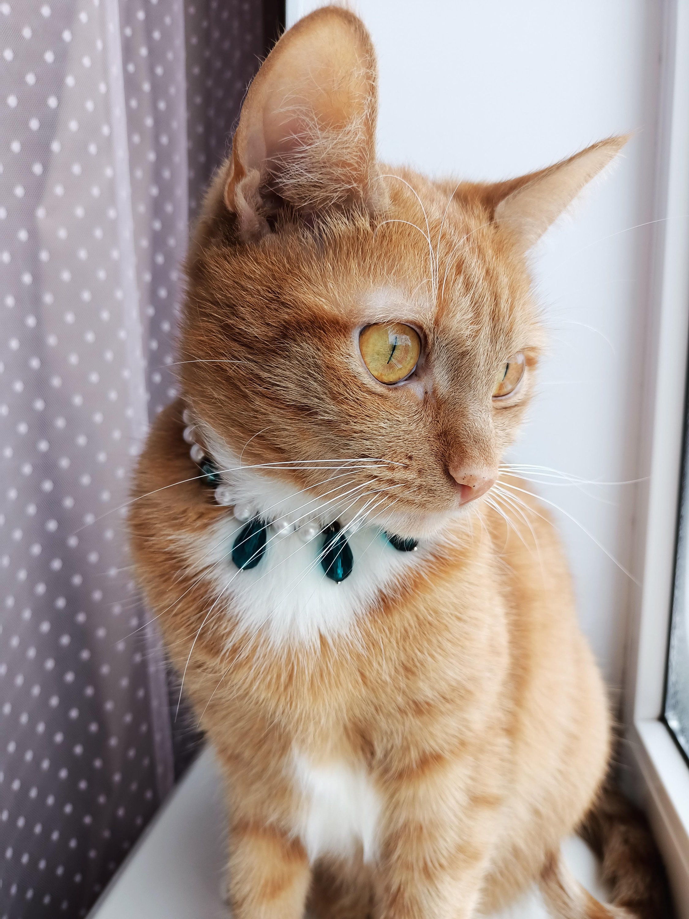 Crystal Cat Collarreal Pearl Cat Pet Necklacegreen Kitten - Etsy