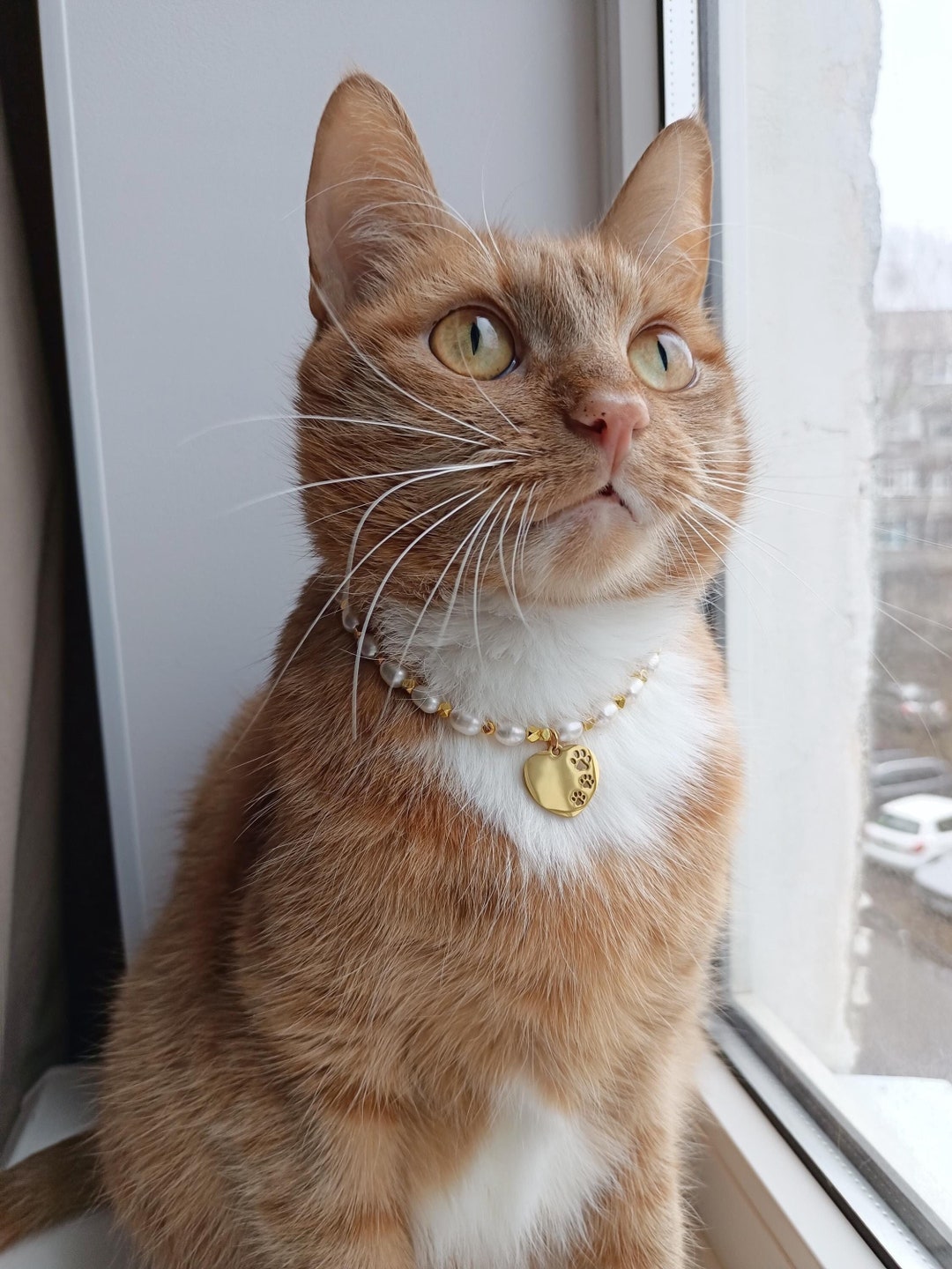 Gold Cat Collar,real Pearl Dog Necklace,heart Paw Pet Necklace,luxury ...