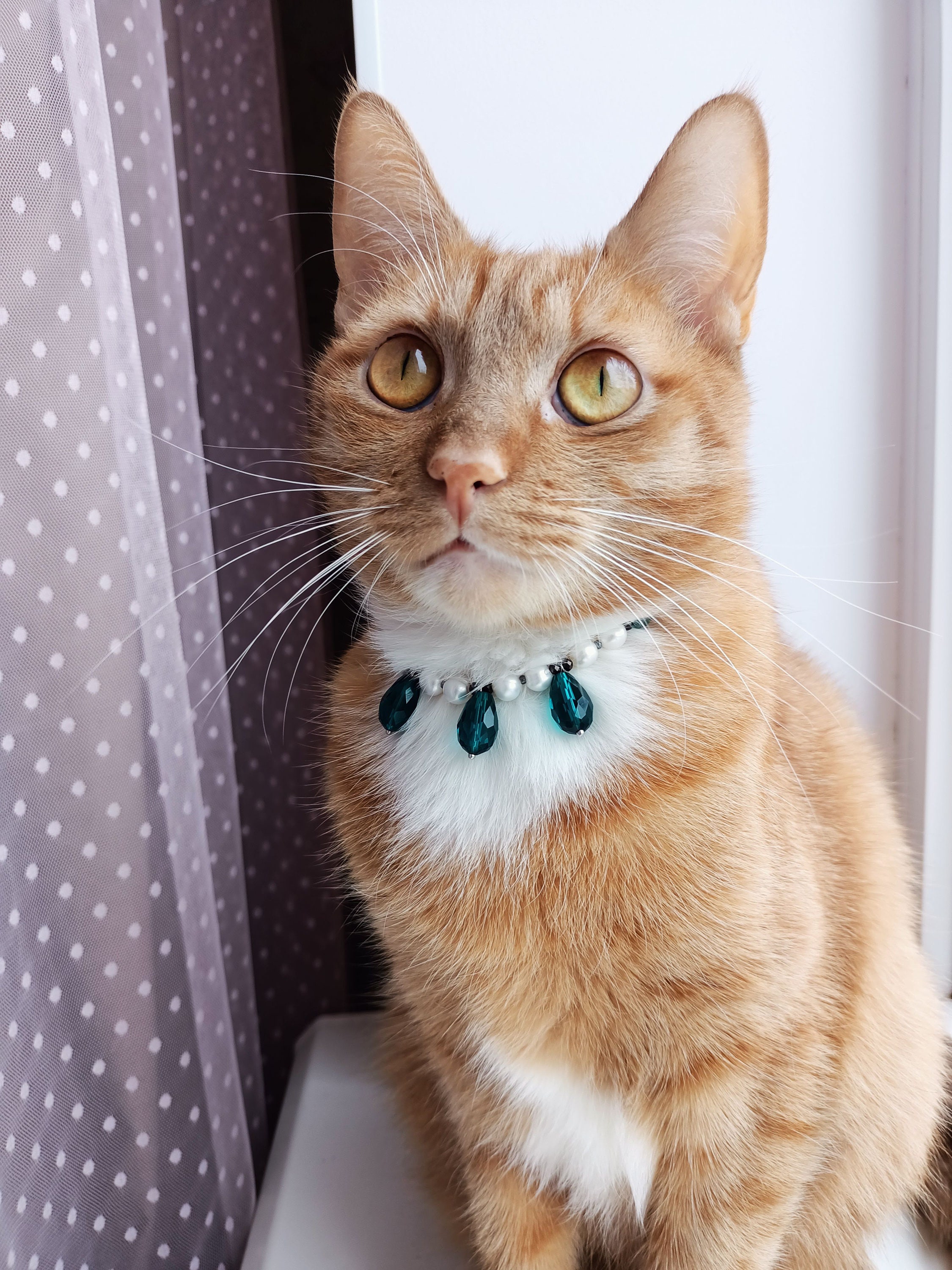 Crystal Cat Collarreal Pearl Cat Pet Necklacegreen Kitten - Etsy