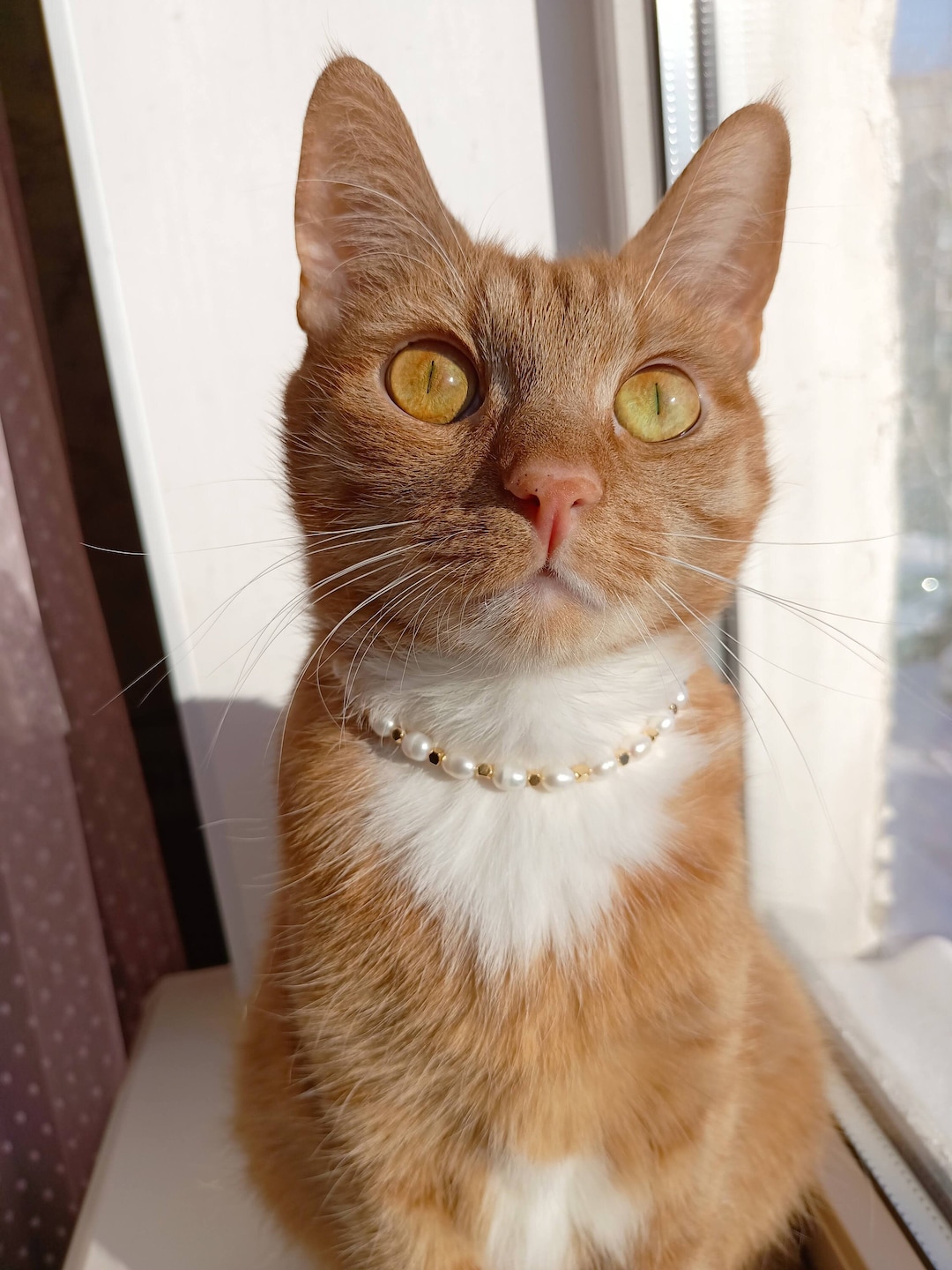 Gold Cat Collar,real Pearl Cat Necklace,beaded Small Dog Collar,luxury ...