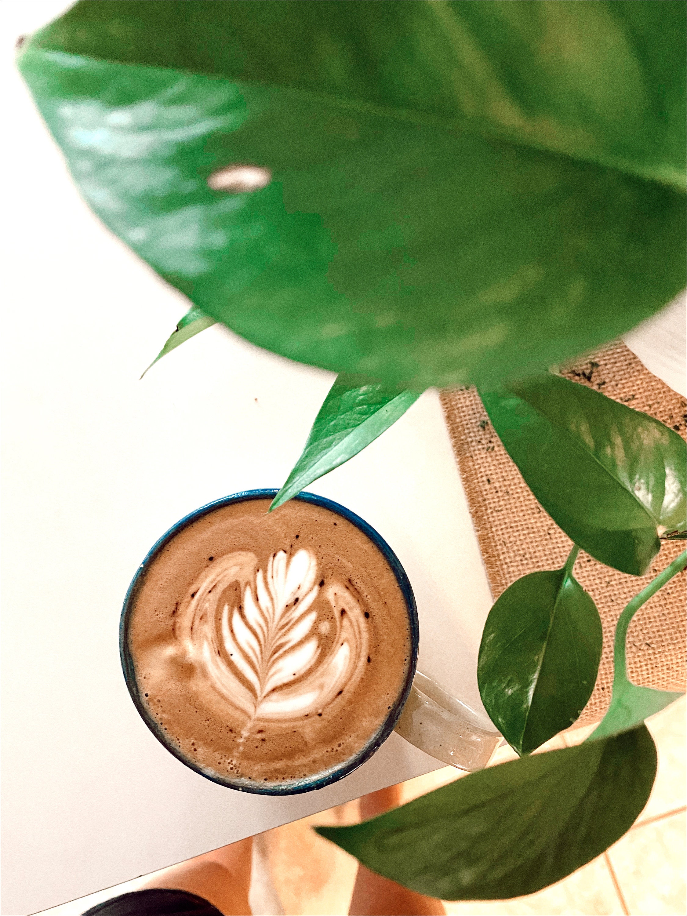 4oz Simple Coffee Syrups, Sample Sizes, Pack of 3, Gift Ideas, Barista ...