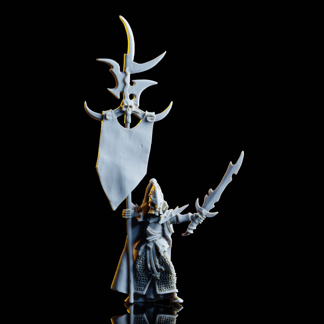 Dark Elves, Noble Hero With Royal Banner - Etsy