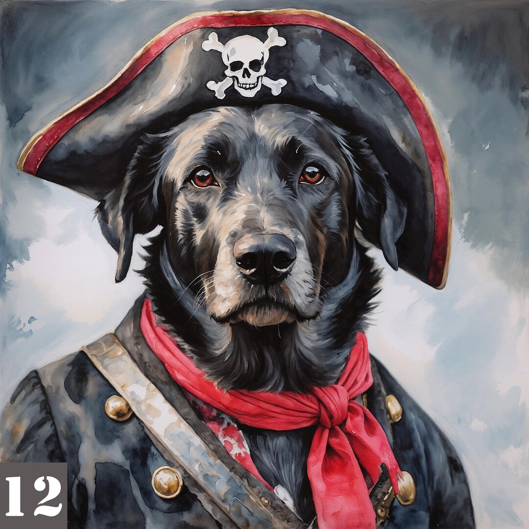 Custom Pirate Captain Pet Portraits From Your Photo, Personalized ...