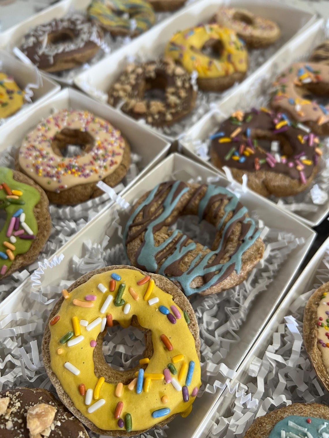 Doggy Donuts Variety Pack – Handmade Dog Treats, Colorful & Flavored ...