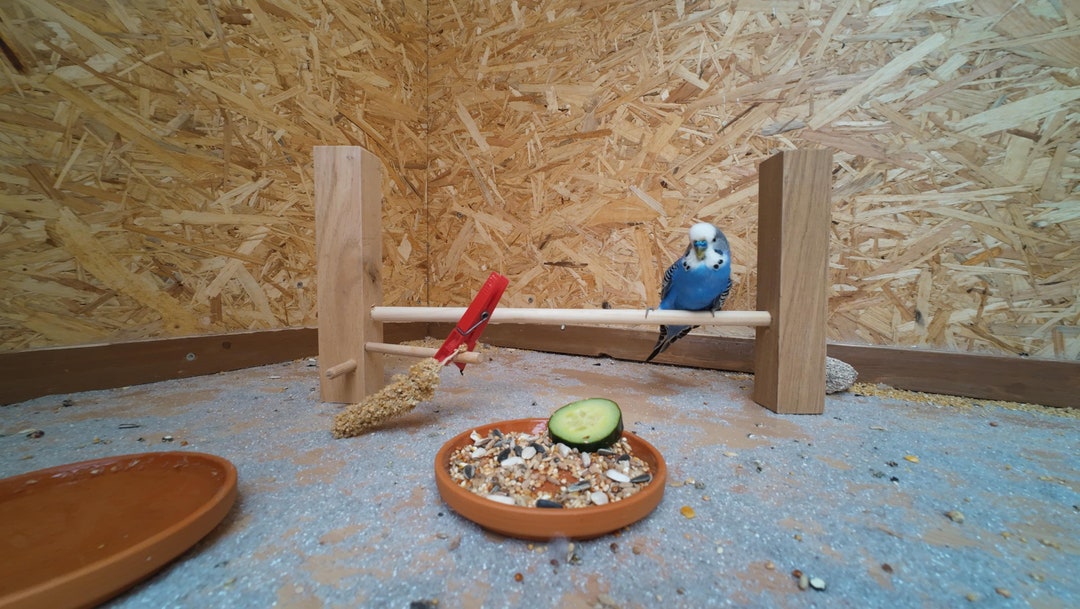 Perch Toy Outdoor Seat for Birds budgies, Canaries, Parrots, Song ...