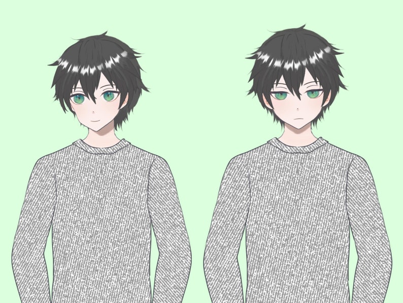 Premade Vtuber Model, Live 2d Vtuber Model Anime Cute Anime Cat Boy for ...