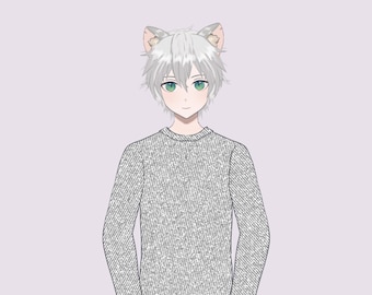 Premade Vtuber Model, Live 2d Vtuber Model Anime Cute Anime Cat Boy for ...