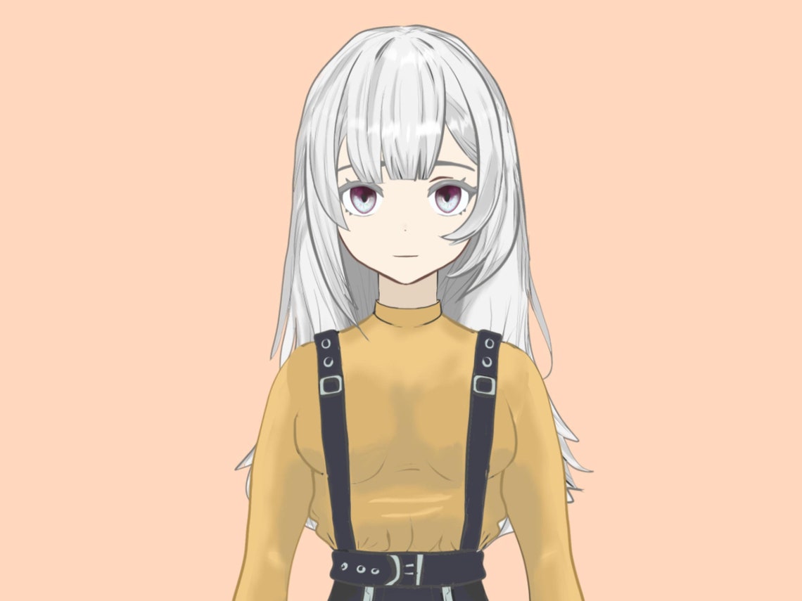 PACK 2 Full Body Premade Vtuber Model, Live 2d Vtuber Model Anime Cute ...