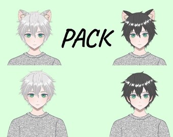 Premade Vtuber Model Live 2d Vtuber Model Anime Cute Anime - Etsy