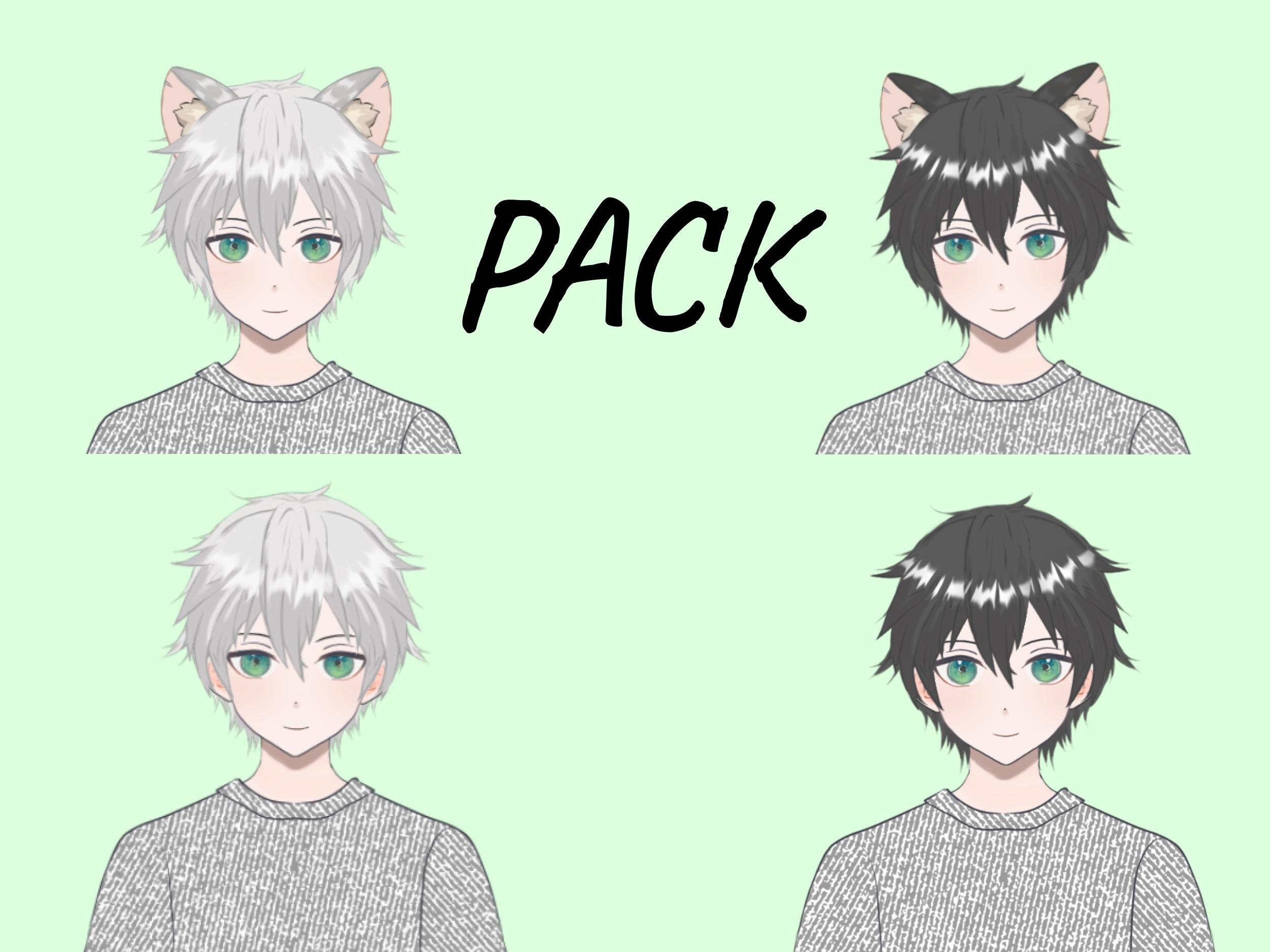 PACK 4 Premade Vtuber Model, Live 2d Vtuber Model Anime Cute Boy for ...