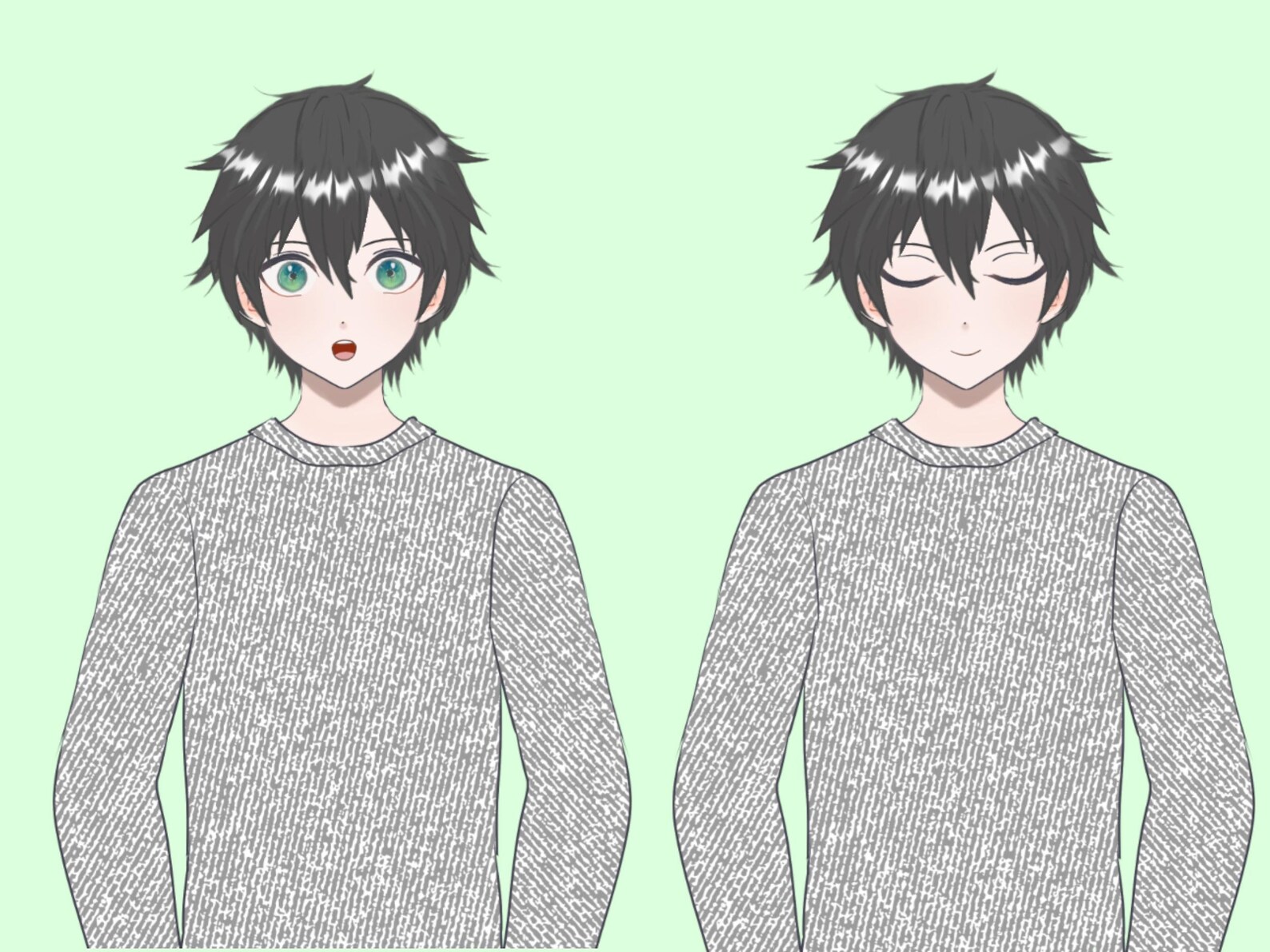 Premade Vtuber Model, Live 2d Vtuber Model Anime Cute Anime Cat Boy for ...