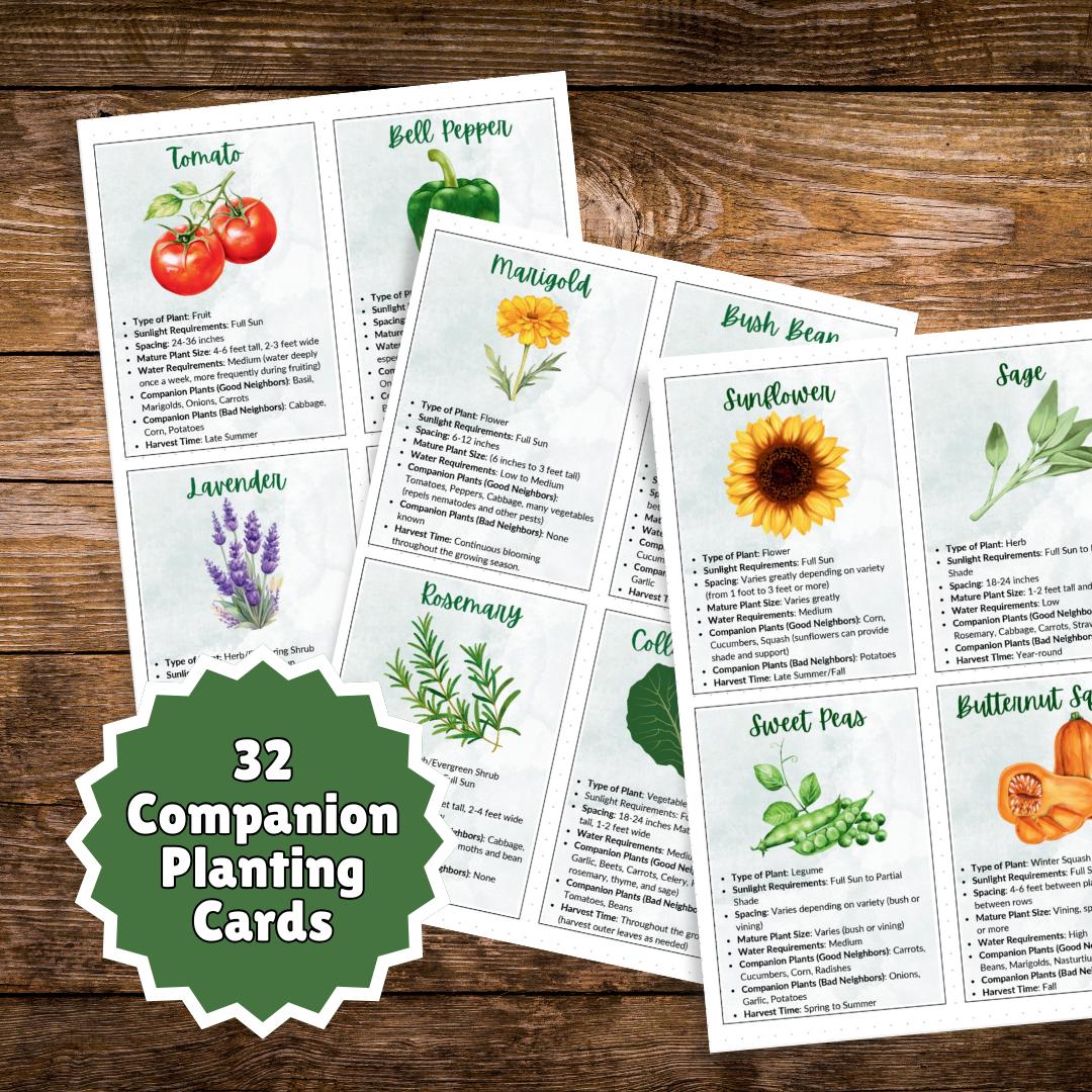 Immersive Project-based Gardening Unit Study for Families - Etsy