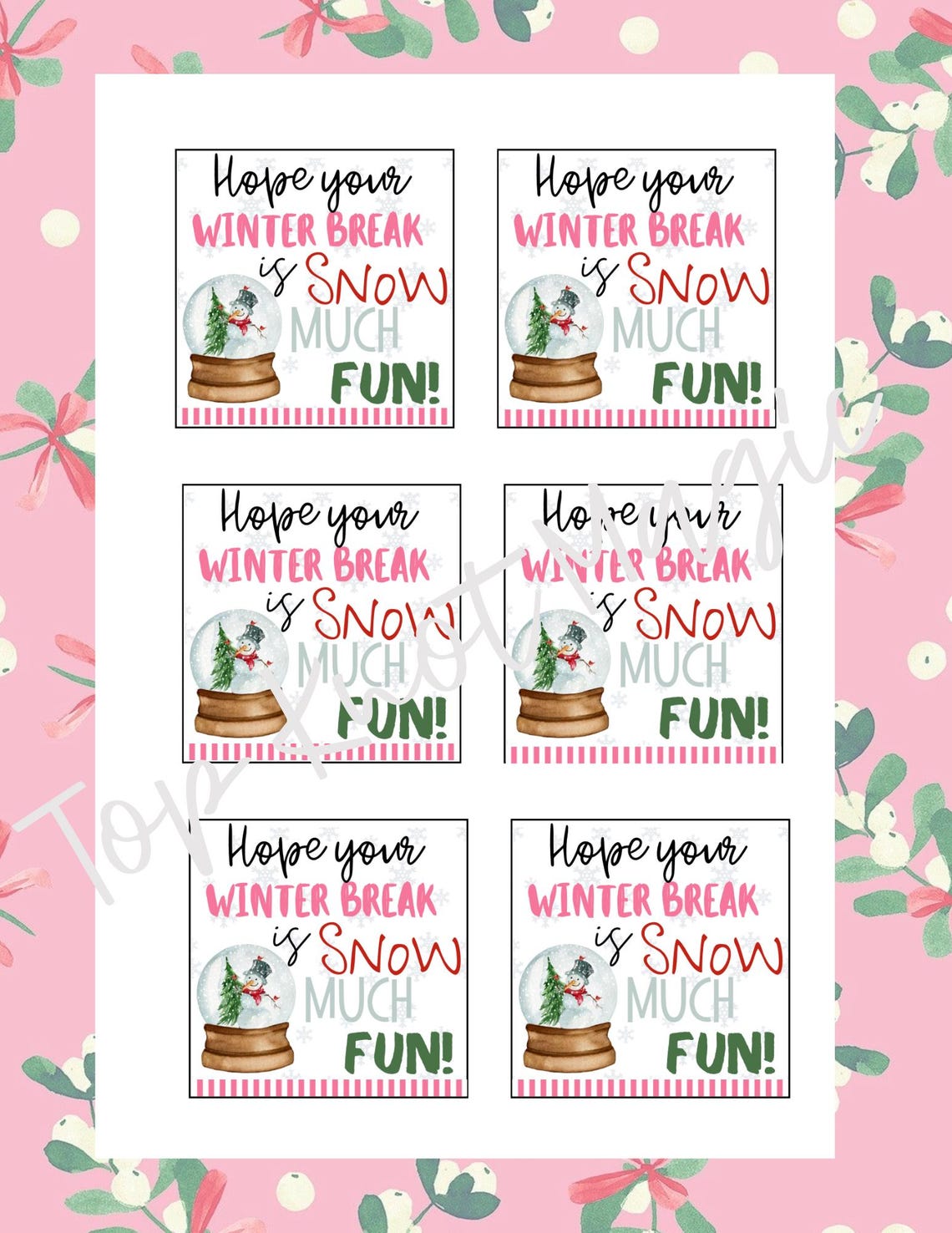 Hope Your Winter Break is Snow Much Fun Printable Gift Tag From Teacher ...