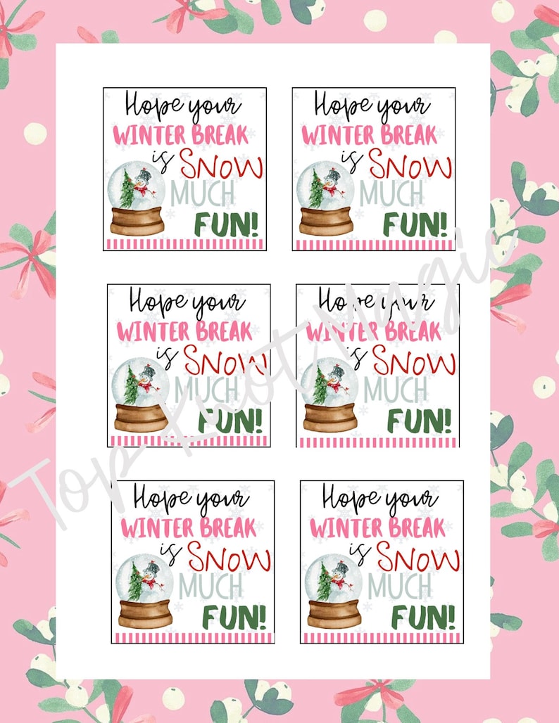 Hope Your Winter Break is Snow Much Fun Printable Gift Tag From Teacher ...