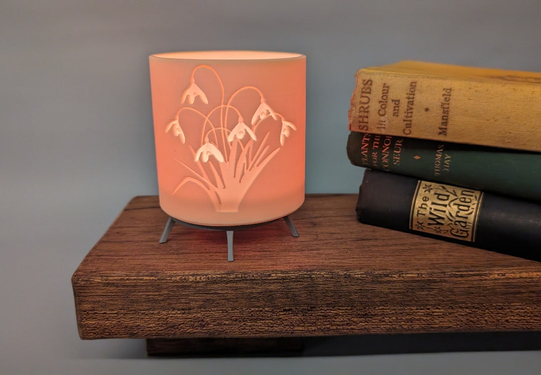 Snowdrops Galanthus Nivalis Botanical Winter Spring Bulbs Garden ...