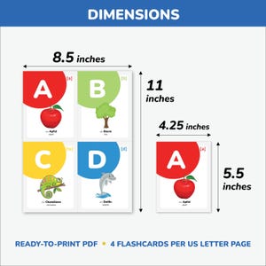 German Alphabet Flashcards Tracing German Letters German Language ...
