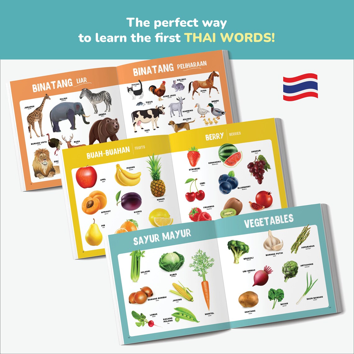 My First Thai Book Thai Books for Kids Thai Alphabet Thai Language ...