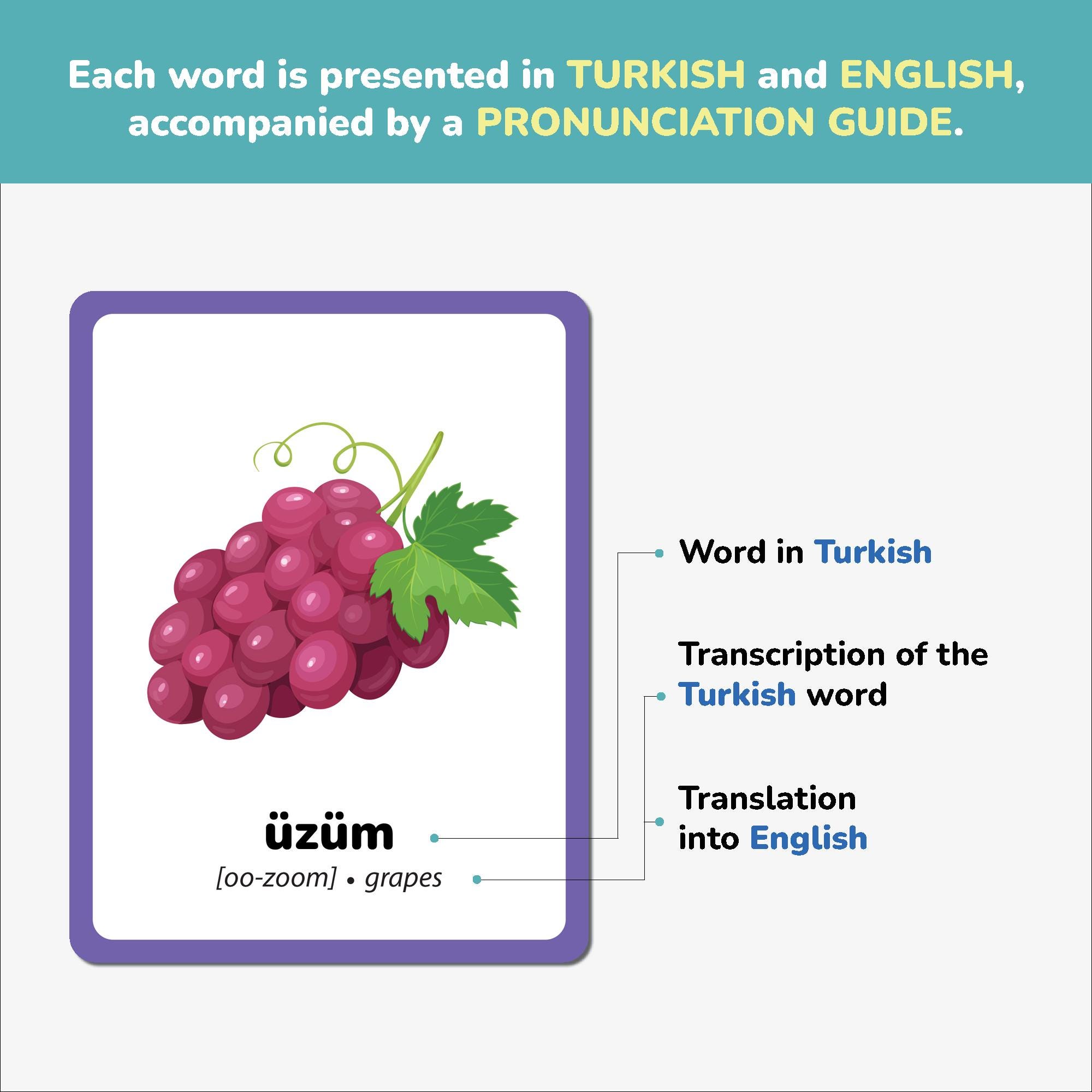 PRINTED Turkish Flashcards First Words Turkish Language Learn Turkish ...
