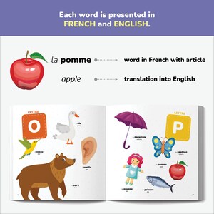 French Alphabet Book First Teach French Words Bilingual Education Learn ...