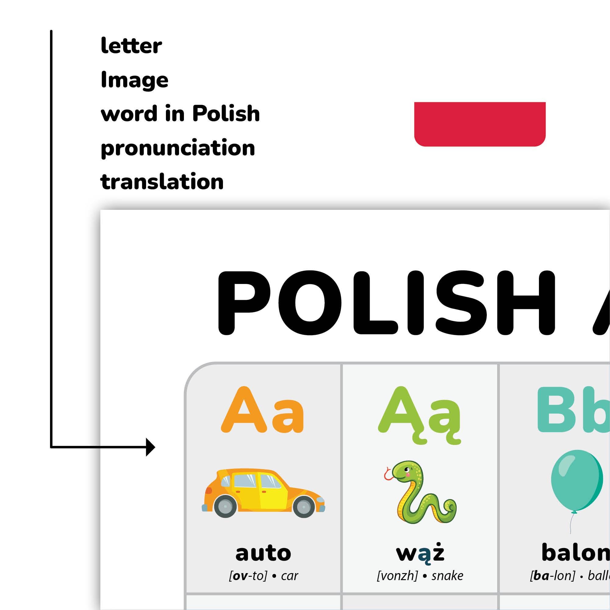 Polish Alphabet Poster Teach Polish Letters Educational ABC Print Learn ...