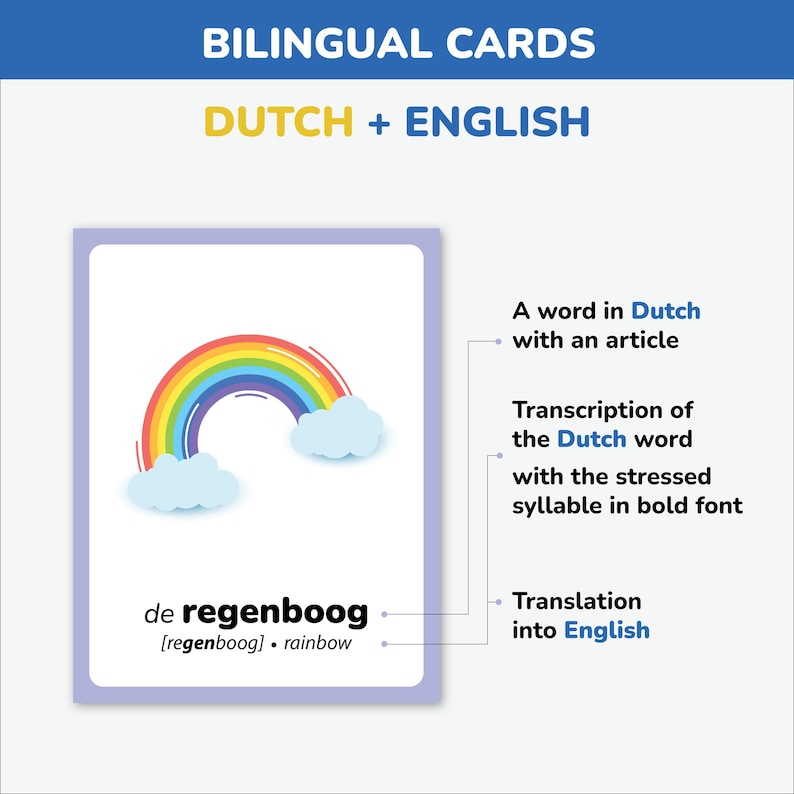 Dutch First Words Flashcards Learn Dutch Language Dutch Vocabulary ...