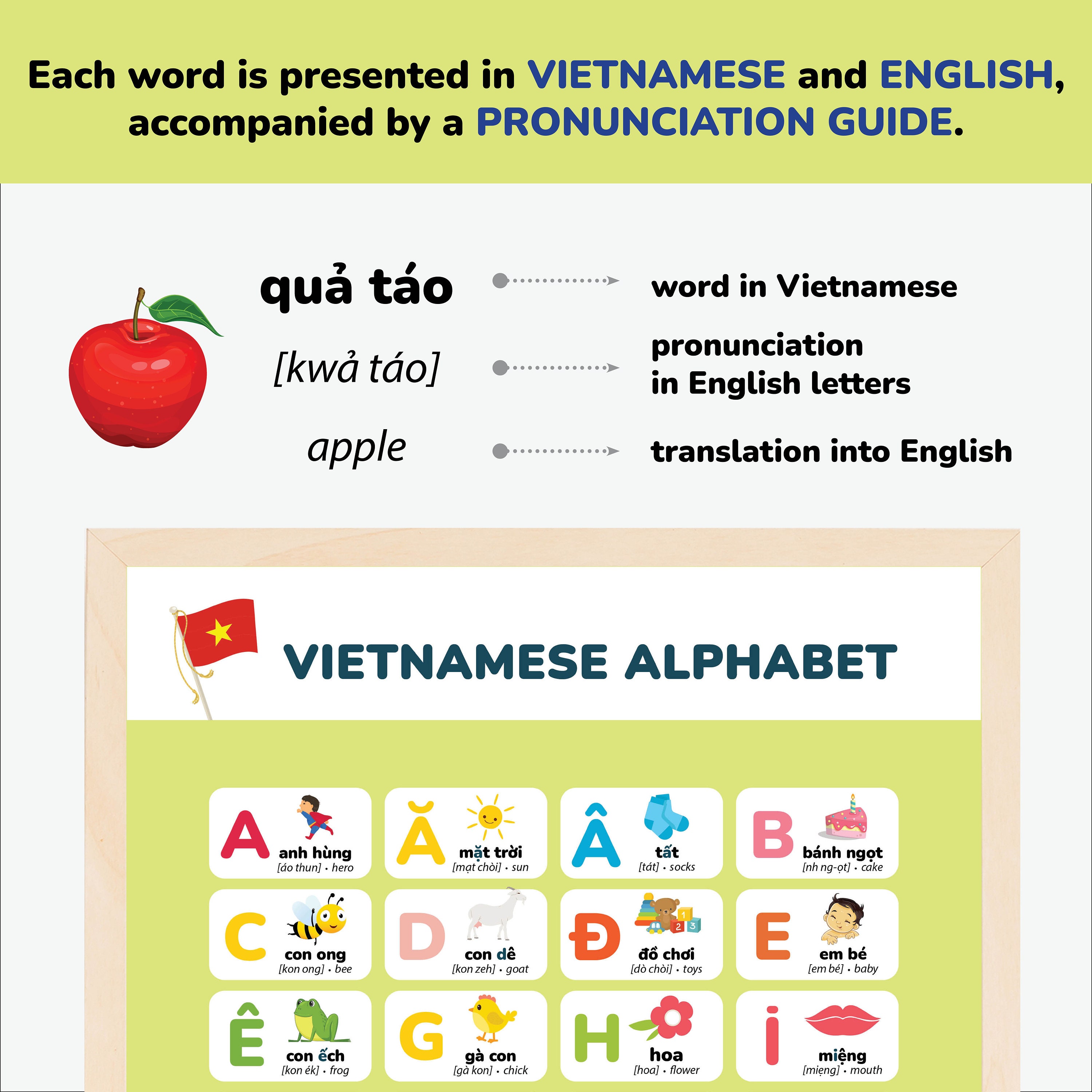Vietnamese Alphabet Poster, Vietnamese Bilingual Alphabet Poster, Learn ...