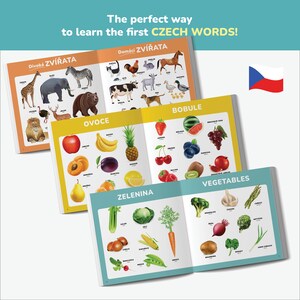 My First Czech Book Czech Books for Kids Czech Alphabet Czech Language ...