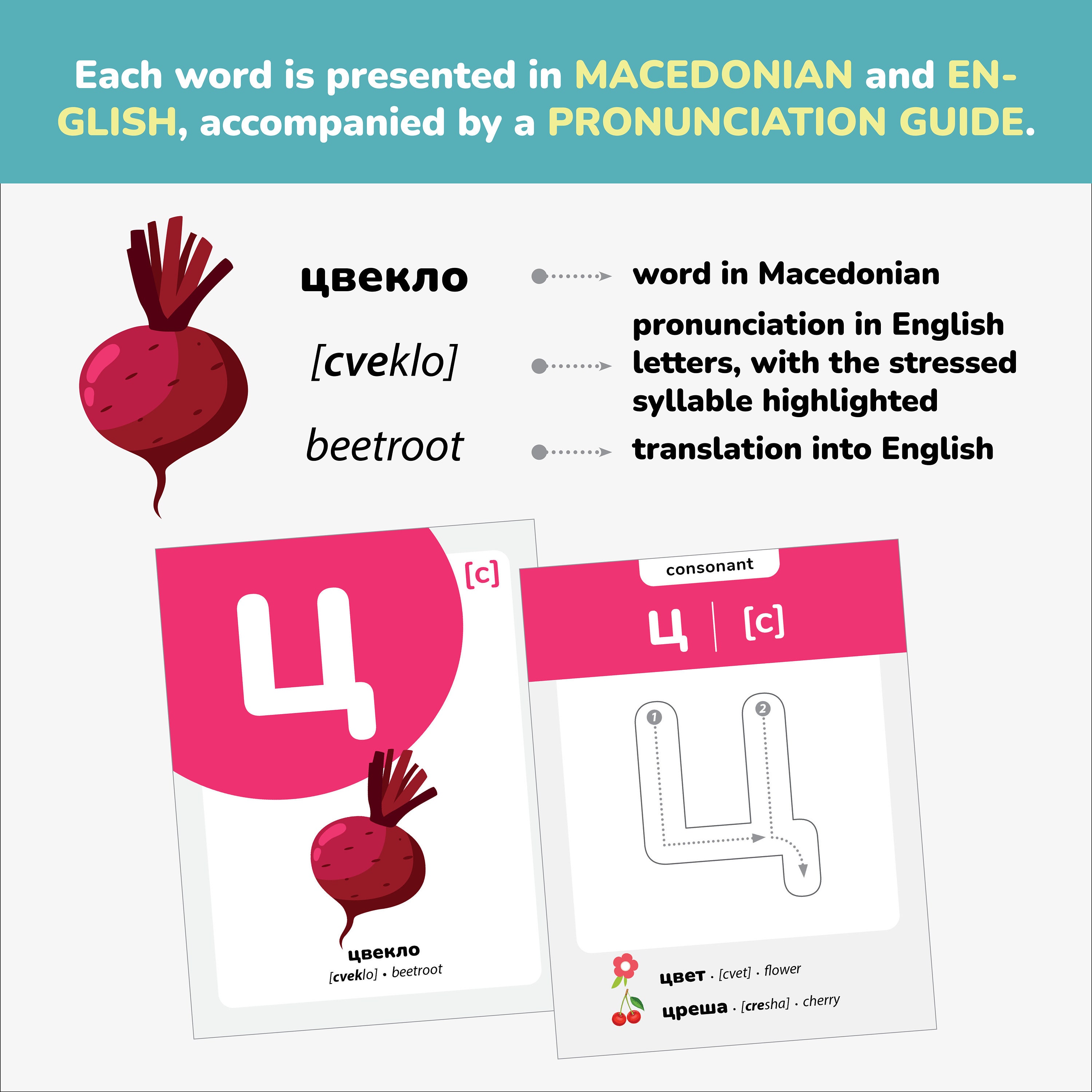 Macedonian Alphabet Flashcards Tracing Macedonian Letters Macedonian ...