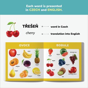 My First Czech Book Czech Books for Kids Czech Alphabet Czech Language ...