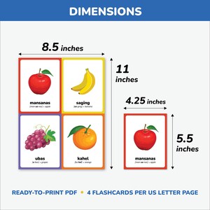 Bisaya First Words Flashcards Learn Bisaya Language Bisaya Vocabulary ...