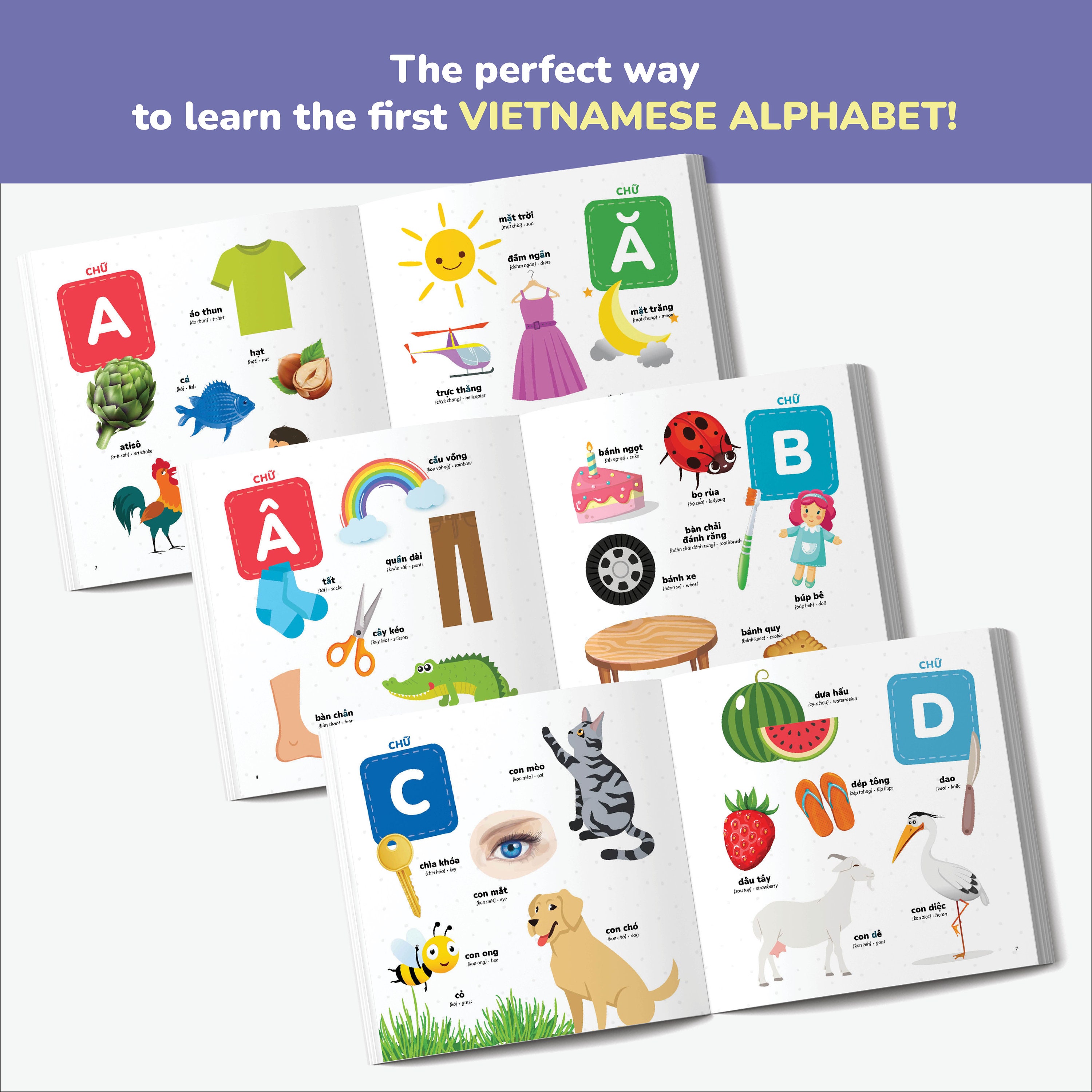Vietnamese Alphabet Book First Teach Vietnamese Words Bilingual ...