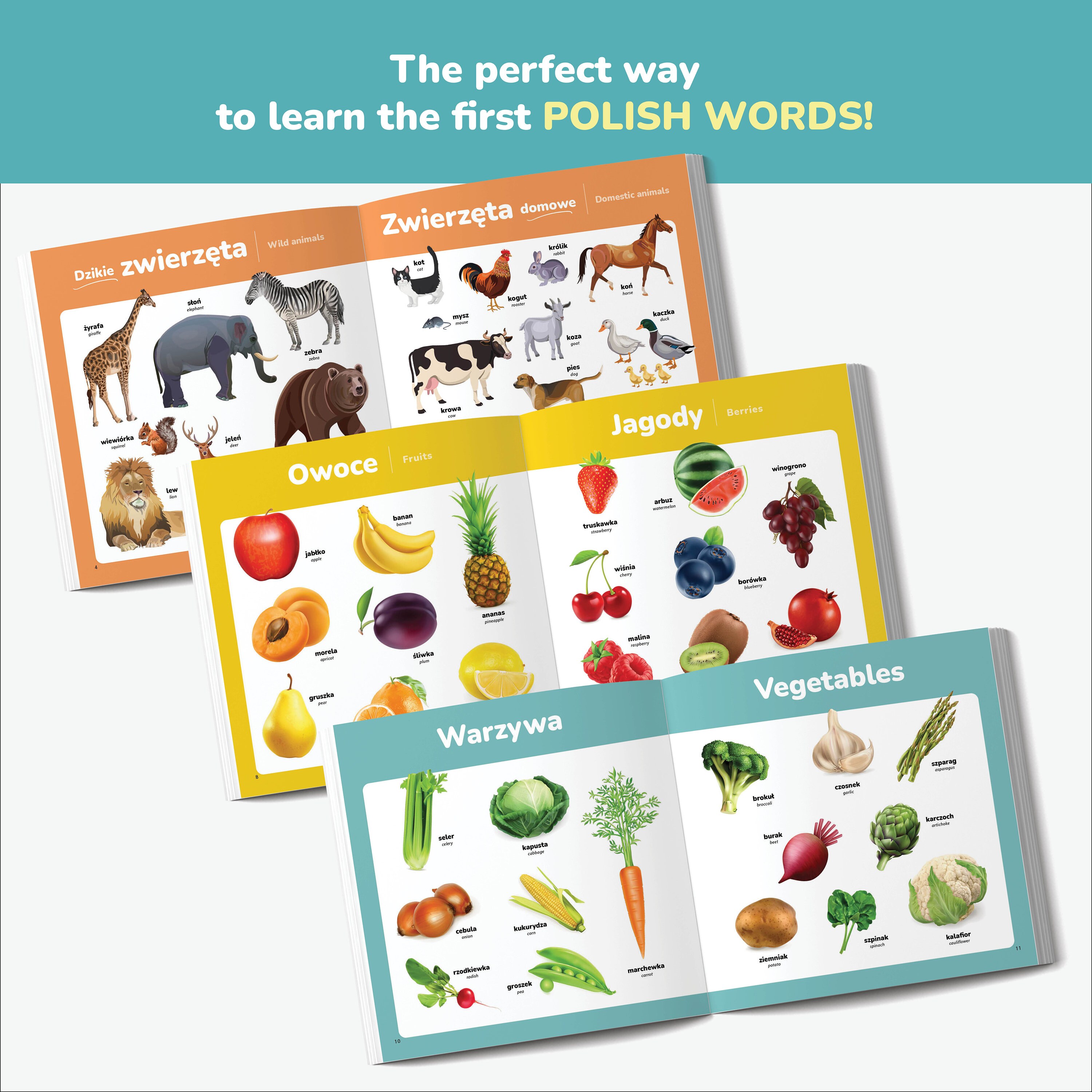 My First Polish Book Polish Books for Kids Polish Alphabet Polish Kids ...