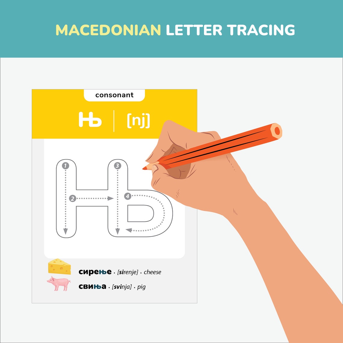 Macedonian Alphabet Flashcards Tracing Macedonian Letters Macedonian ...