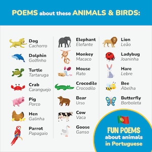 My First Portuguese Animal Poem Book for Kids Portuguese Language Learn ...
