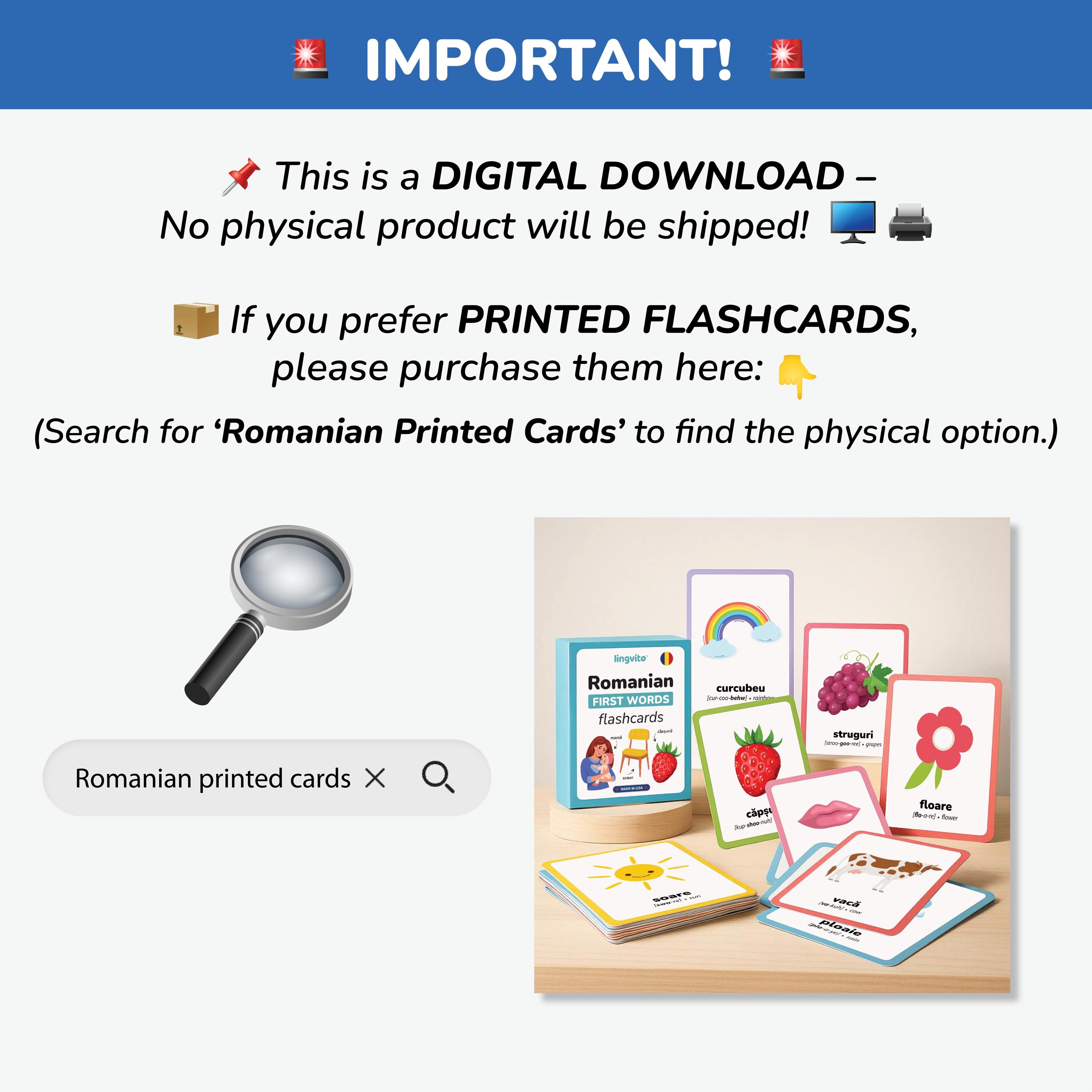 Romanian First Words Flashcards Learn Romanian Language Romanian ...