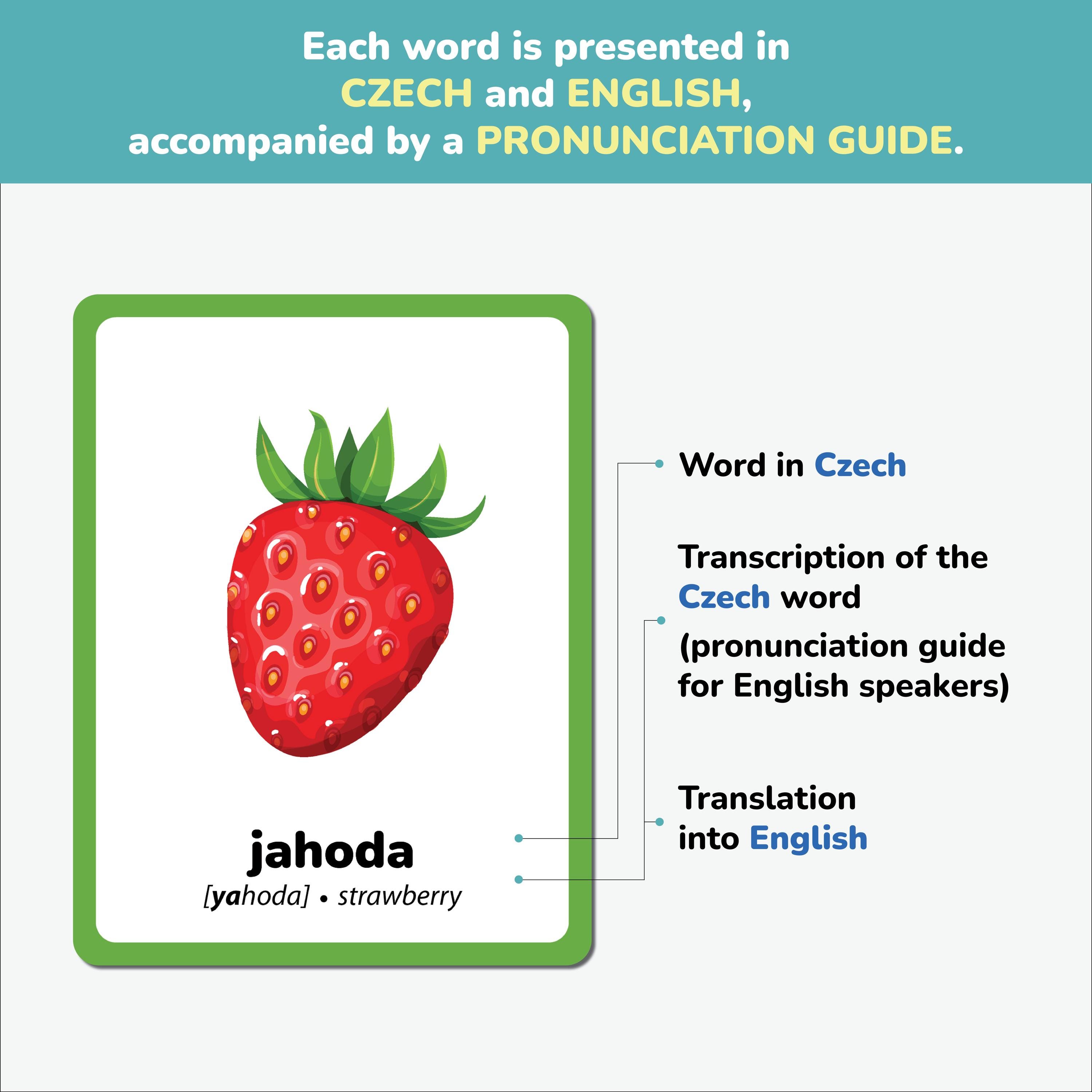 PRINTED Czech Flashcards First Words Czech Language Learn Czech Baby ...