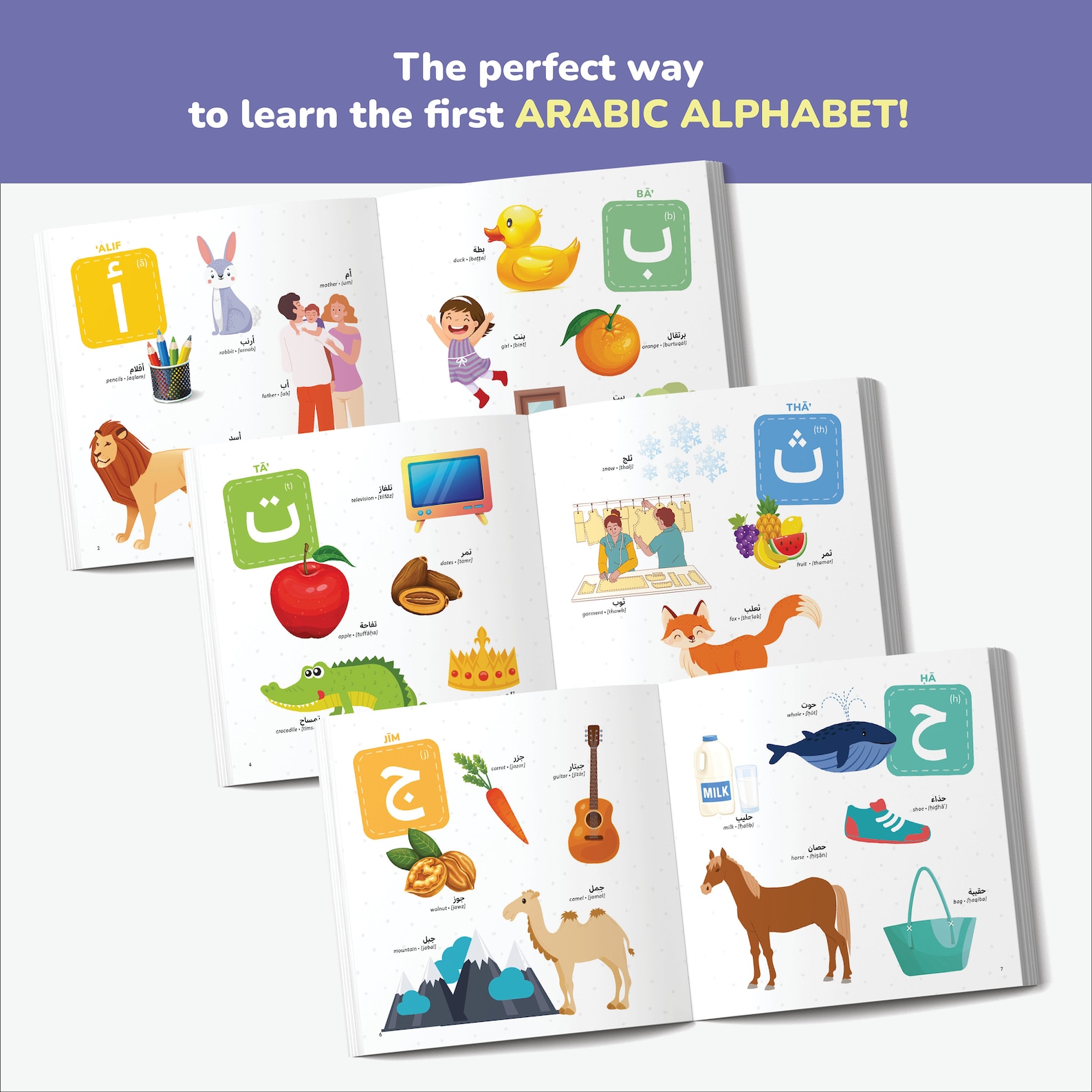 Arabic Alphabet Book Teach Arabic Words Bilingual Education Learn ...