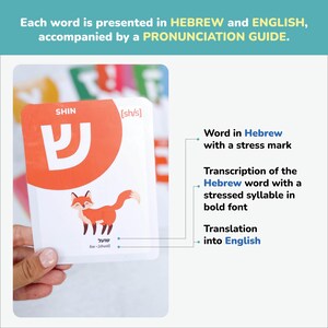 PRINTED Hebrew Alphabet Flashcards Dry Erase Laminated Hebrew Language ...