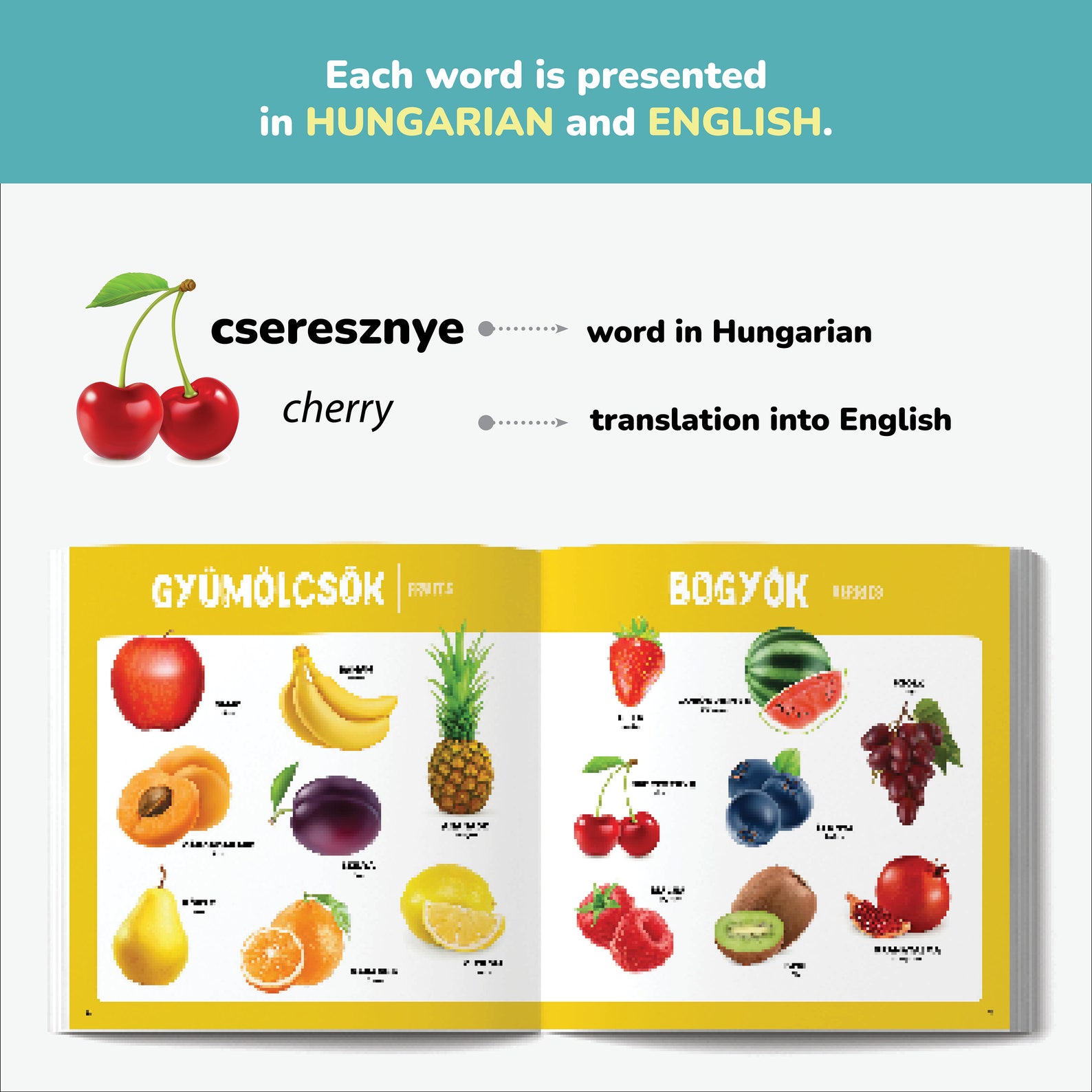 My First Hungarian Book Hungarian Books for Kids Hungarian Alphabet ...