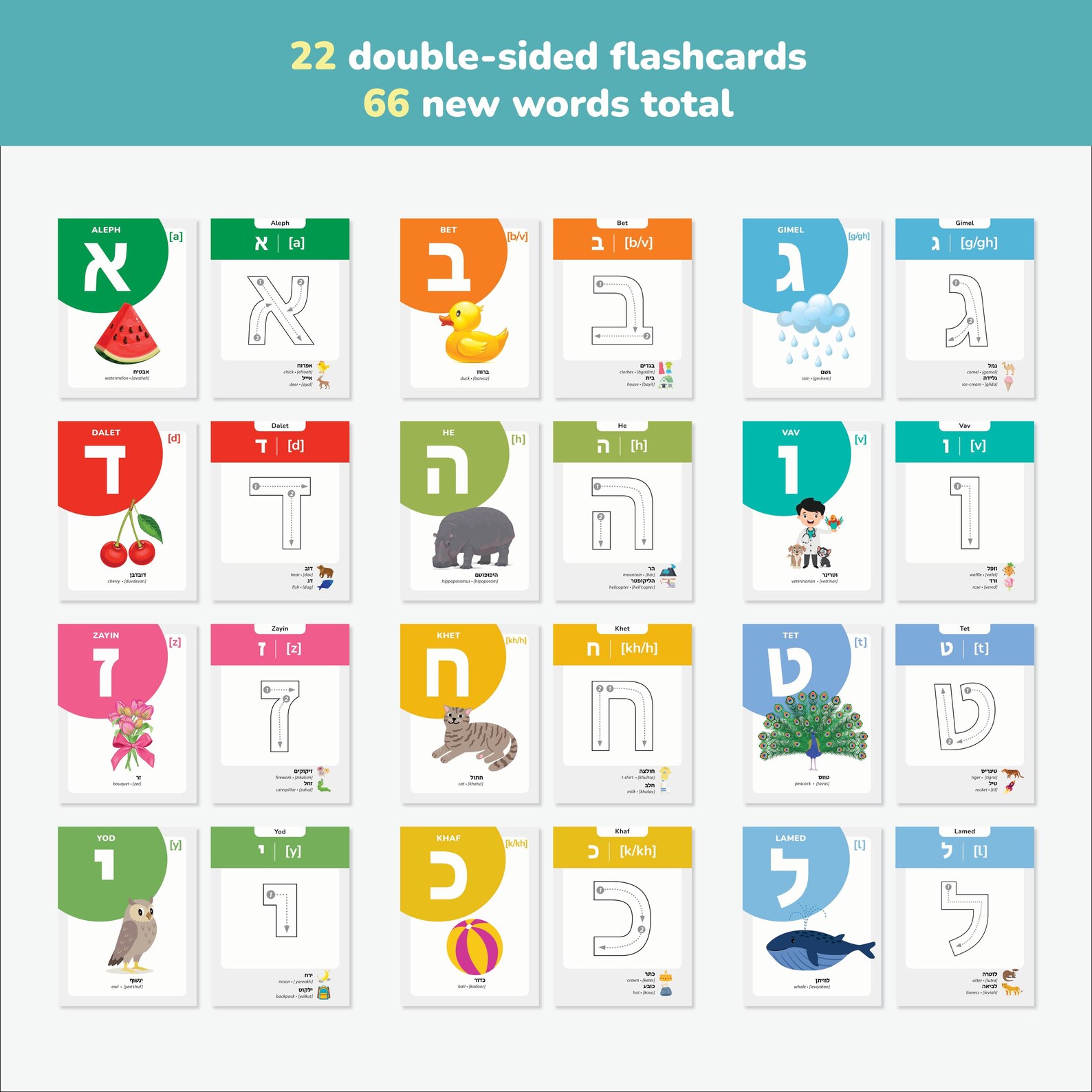 PRINTED Hebrew Alphabet Flashcards Dry Erase Laminated Hebrew Language ...
