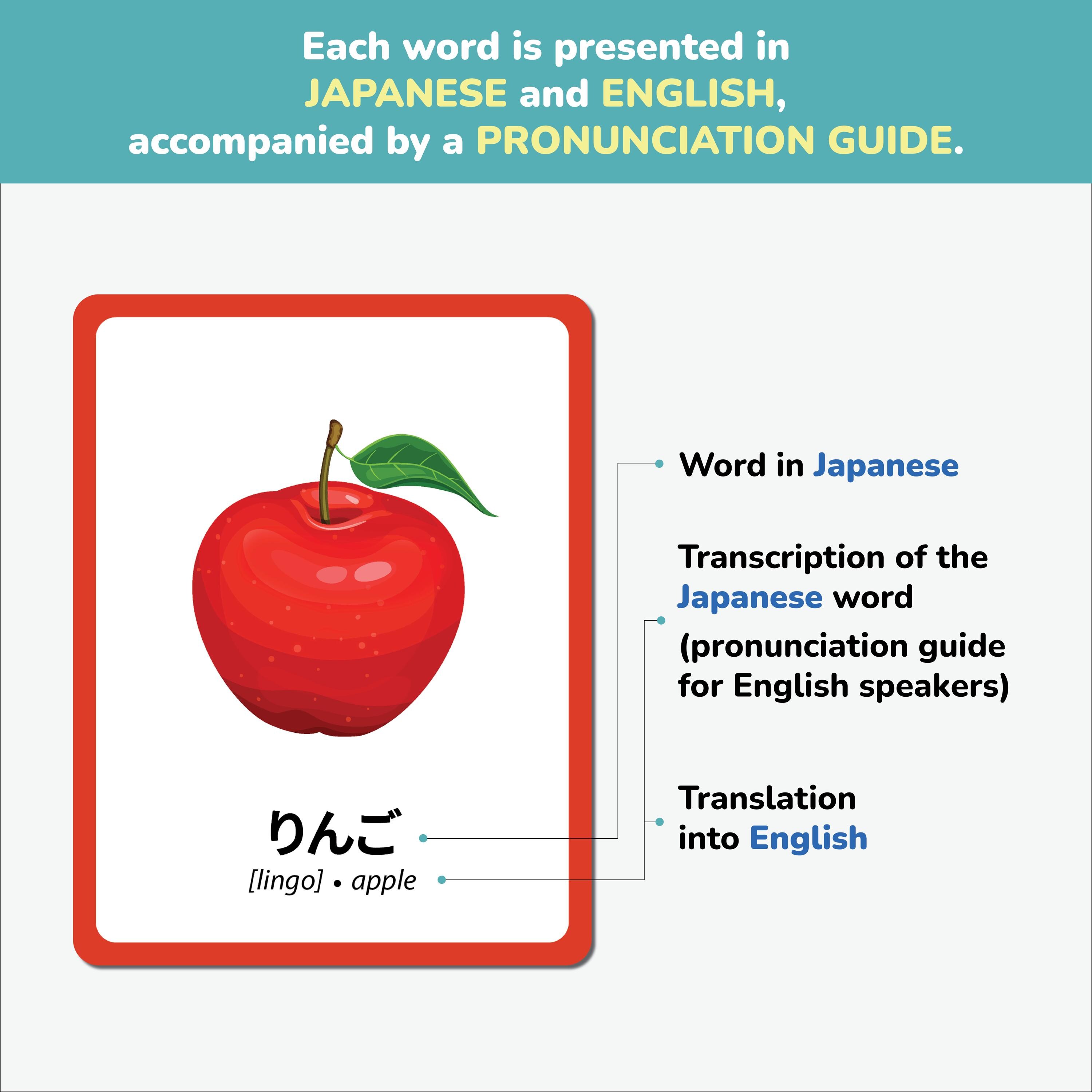 PRINTED Japanese Flashcards First Words Japanese Language Learn ...