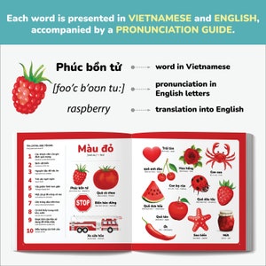 Vietnamese Colors Book for Kids Vietnamese Language Vietnamese English ...