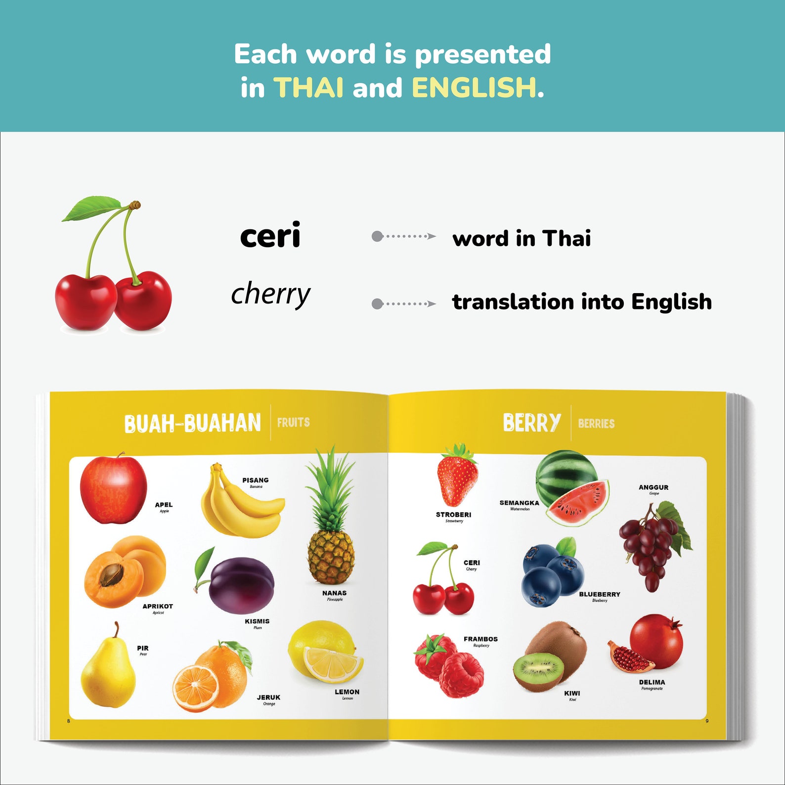 My First Thai Book Thai Books for Kids Thai Alphabet Thai Language ...