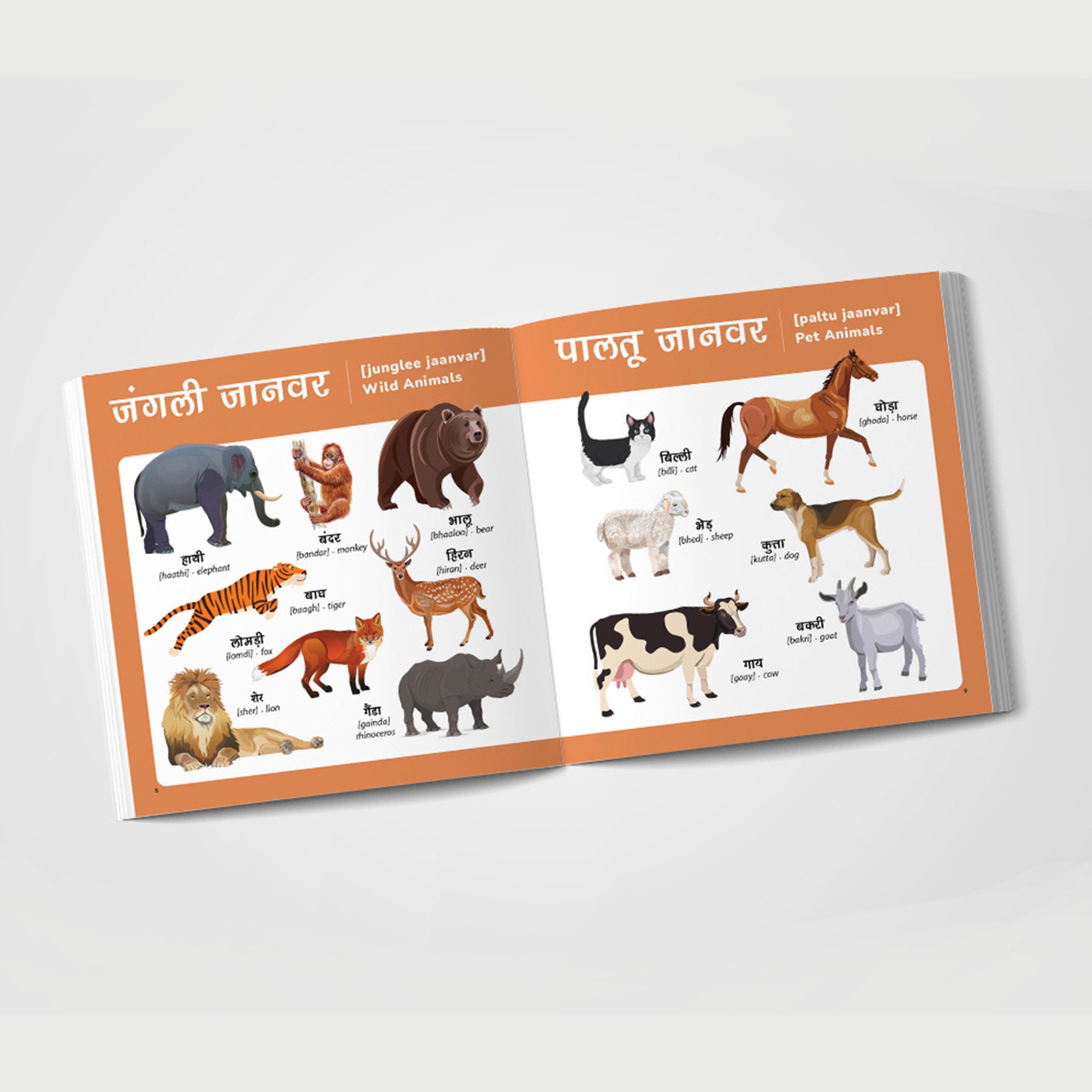 Hindi Bilingual Book First Hindi Words Bilingual Education - Etsy
