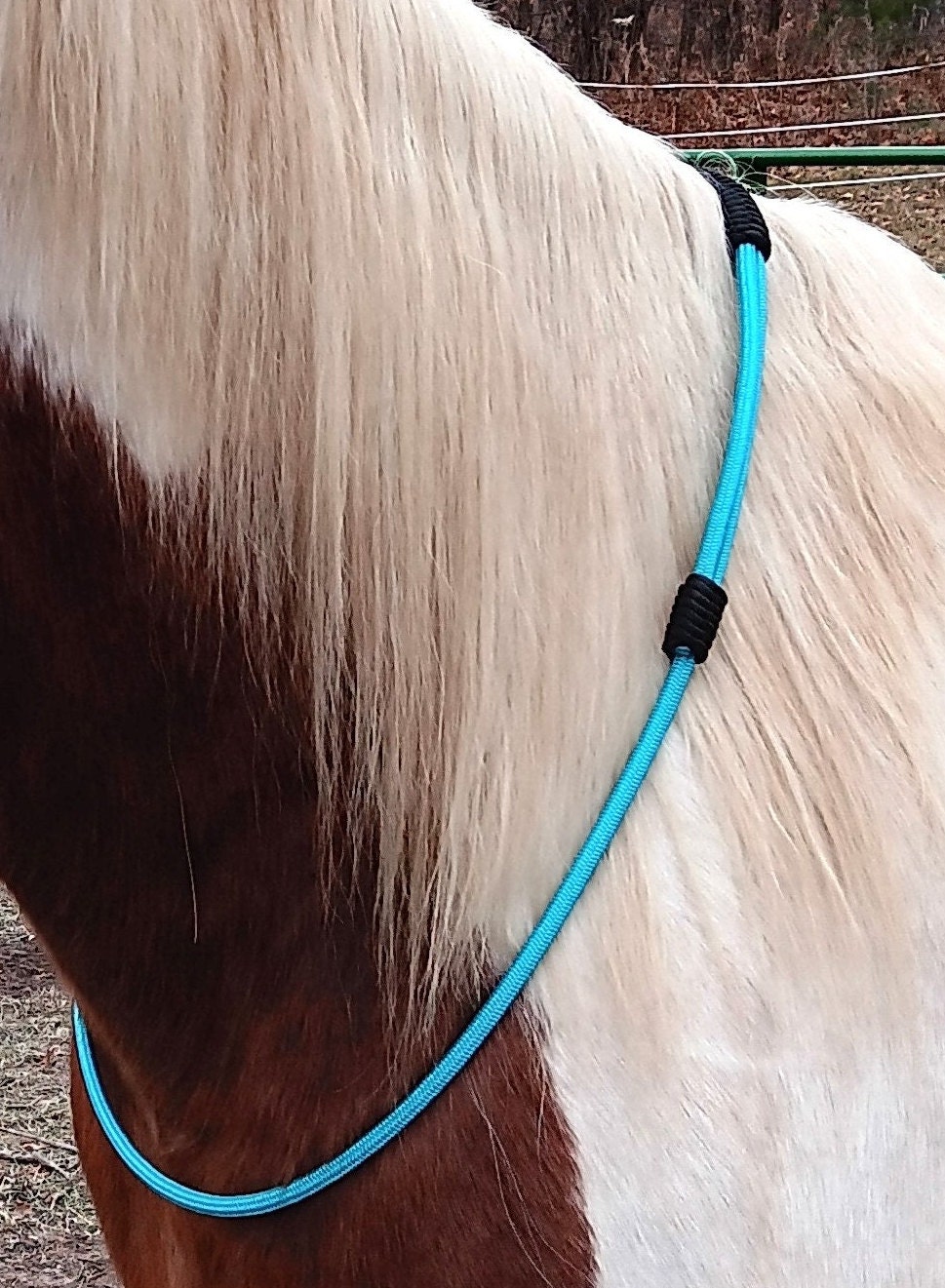 Horse Adjustable Neck Rope, Liberty, Bareback, Bridleless, Clinician ...